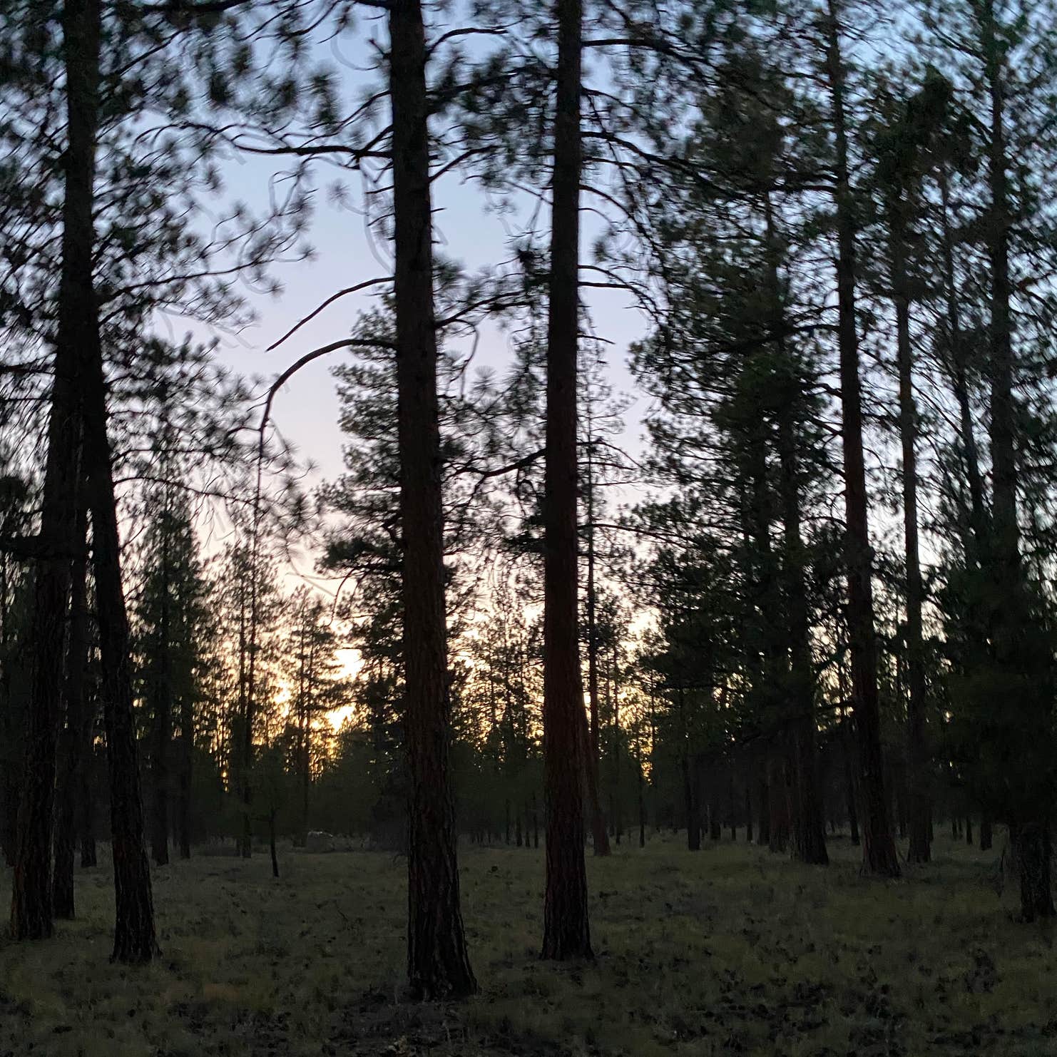 North Sisters Camp on North Pine Street | Sisters, Oregon