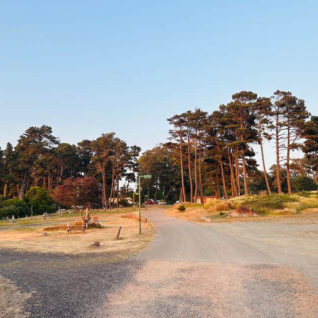 Hidden Pines RV Park & Campground | Fort Bragg, California