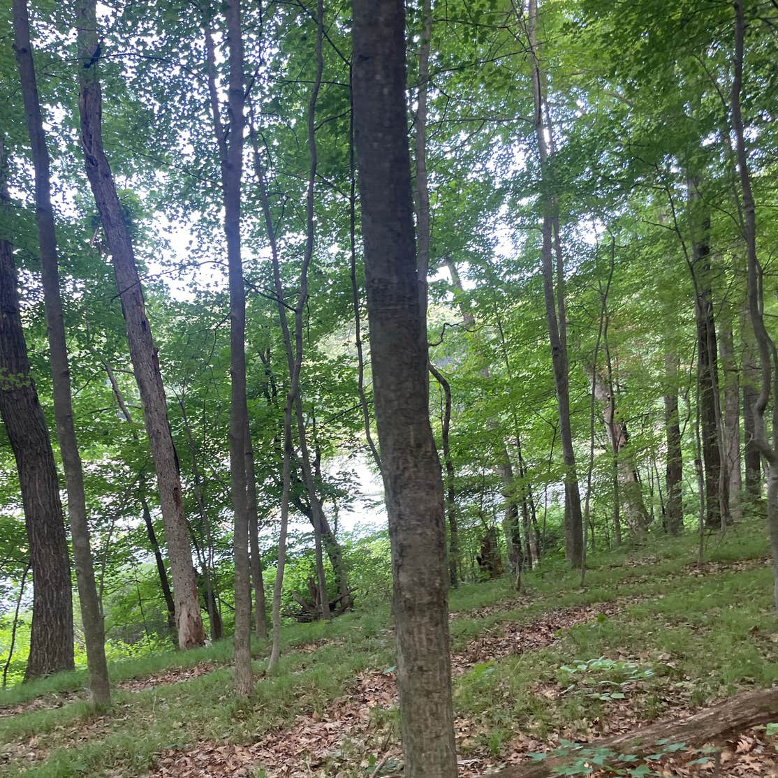 Sharp Park Campground | Middleville, Michigan