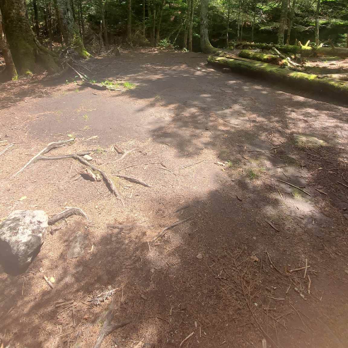 Bushnelle Falls Campsite | Keene Valley, New York