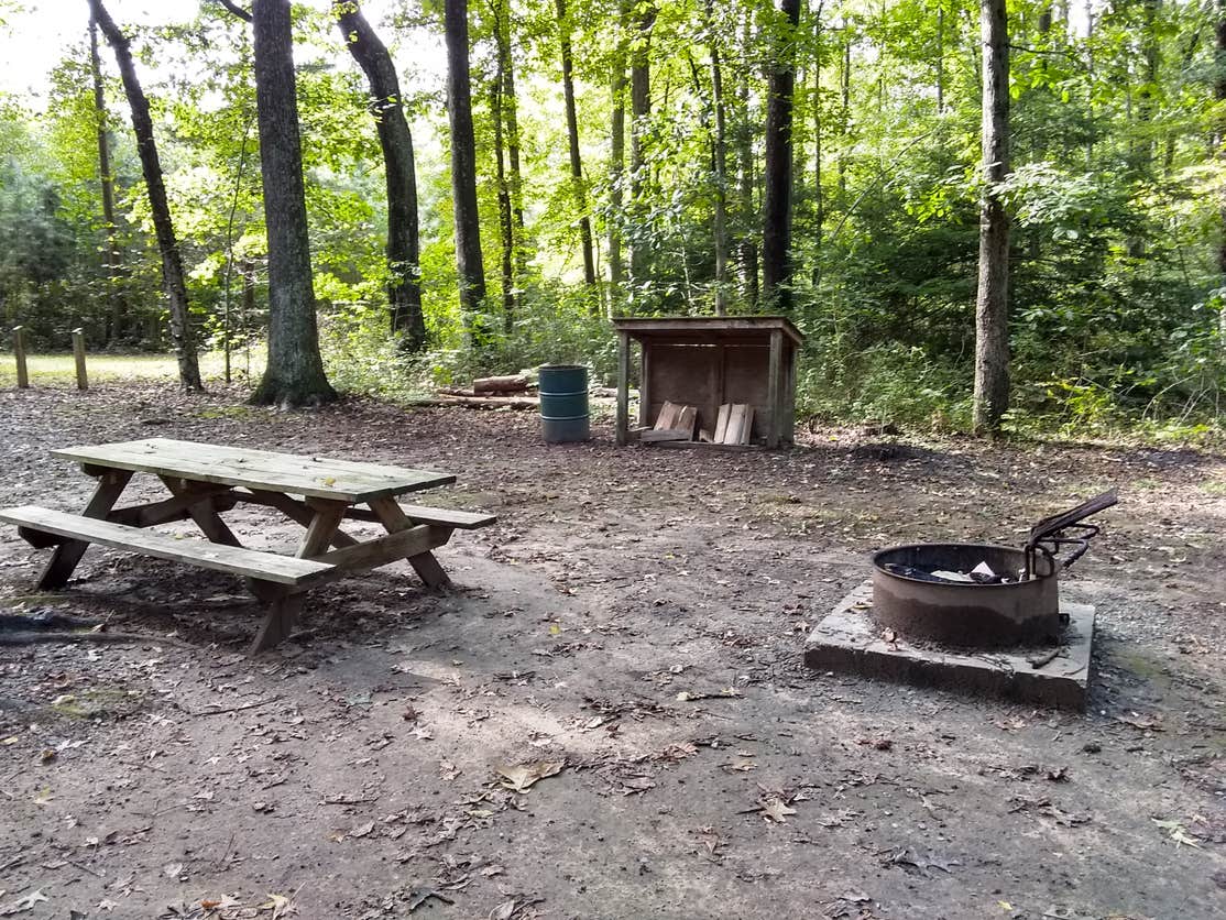 Blackbird State Forest Campground | The Dyrt