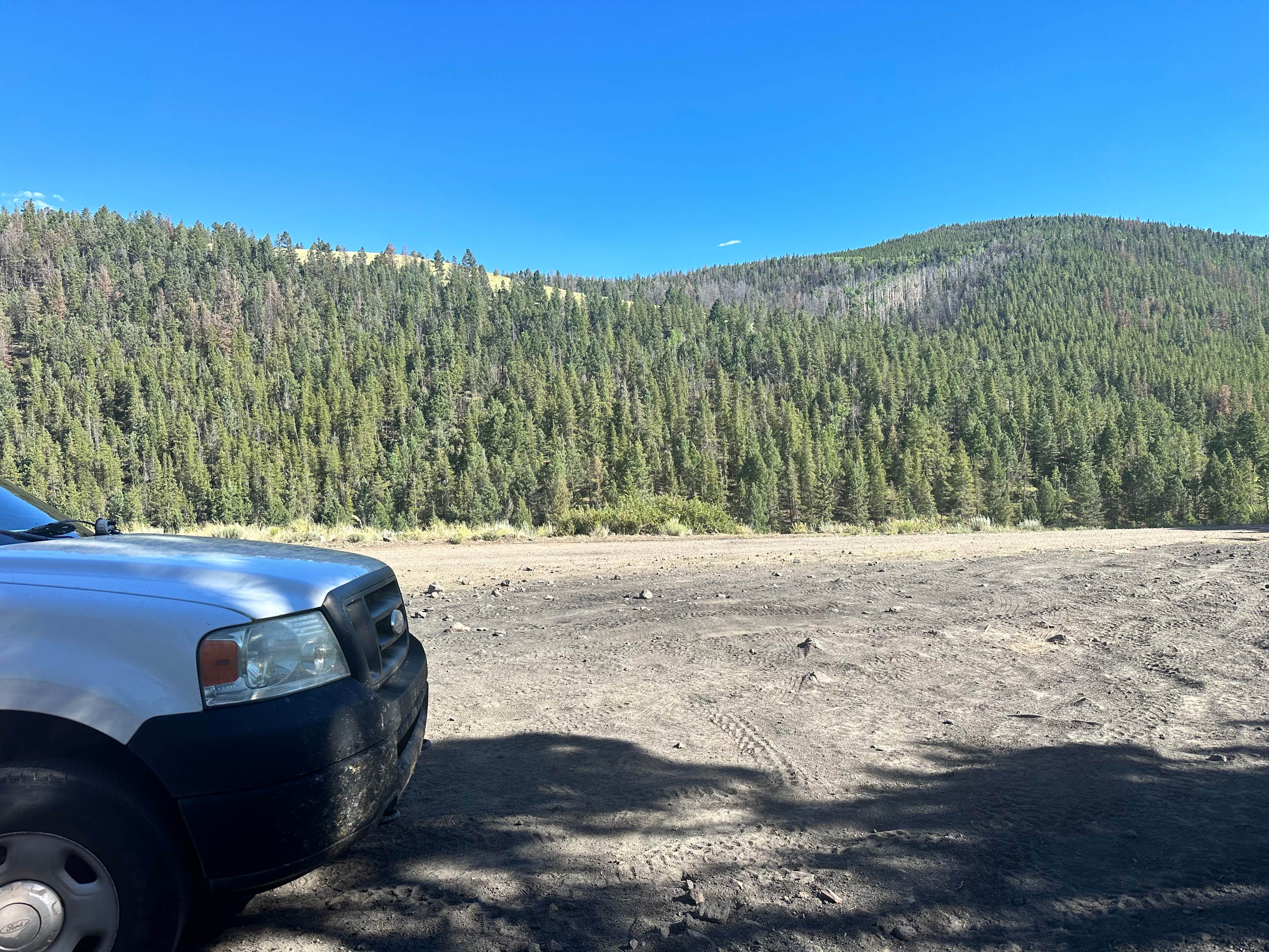 Marshall Pass Camping | Salida, CO