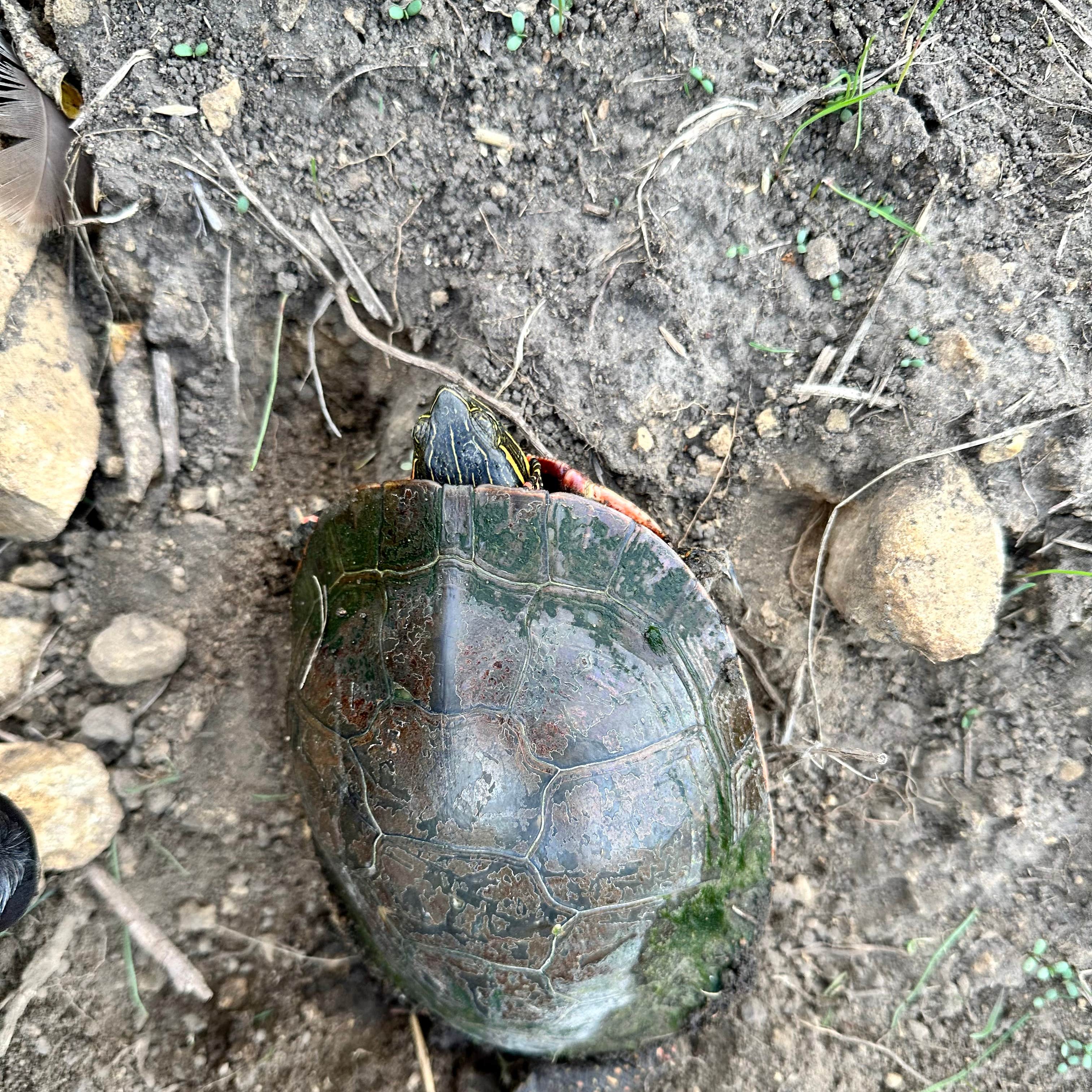 Sidie Hollow County Main Campground | Viroqua, Wisconsin