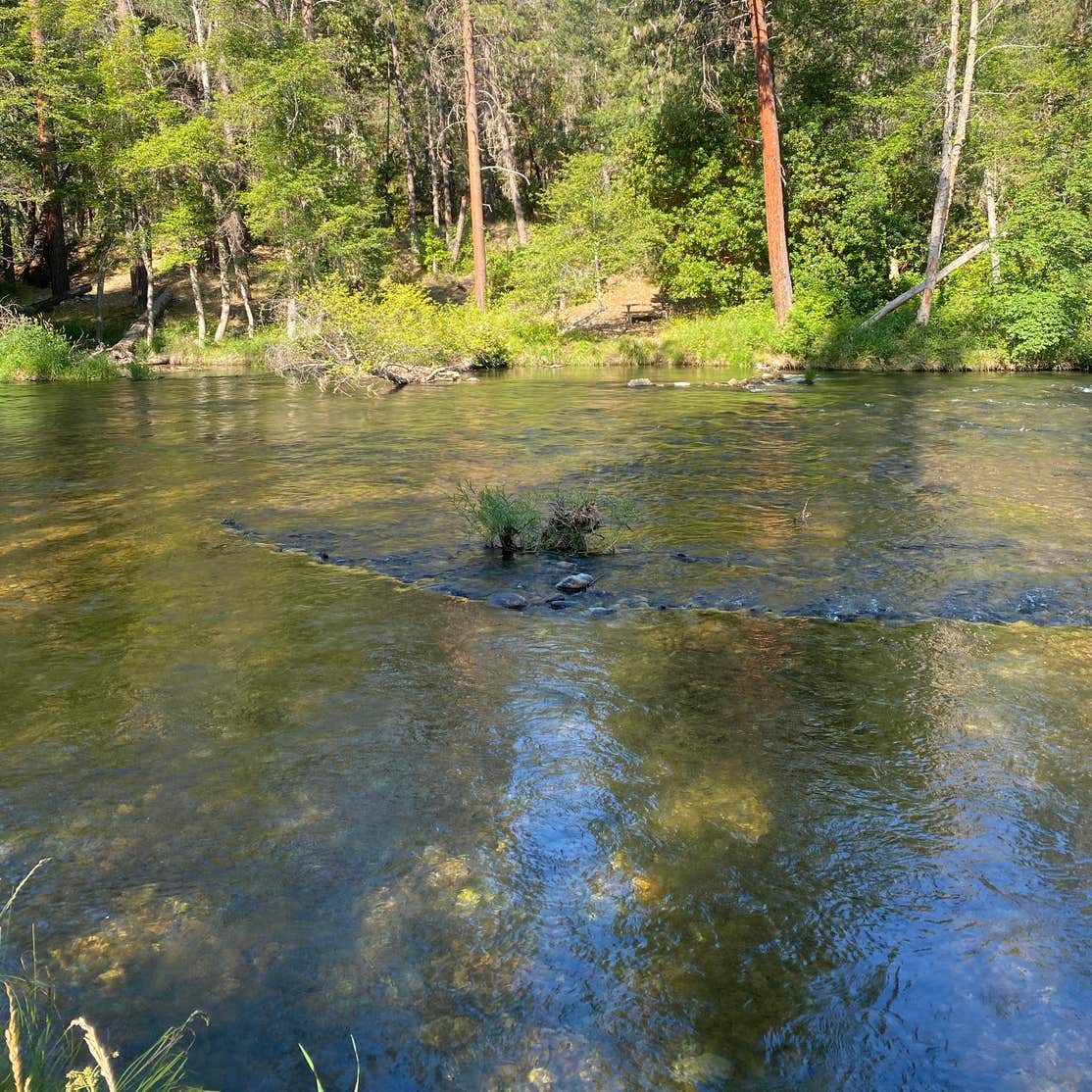 Jackson Campground On The Applegate River | Jacksonville, OR
