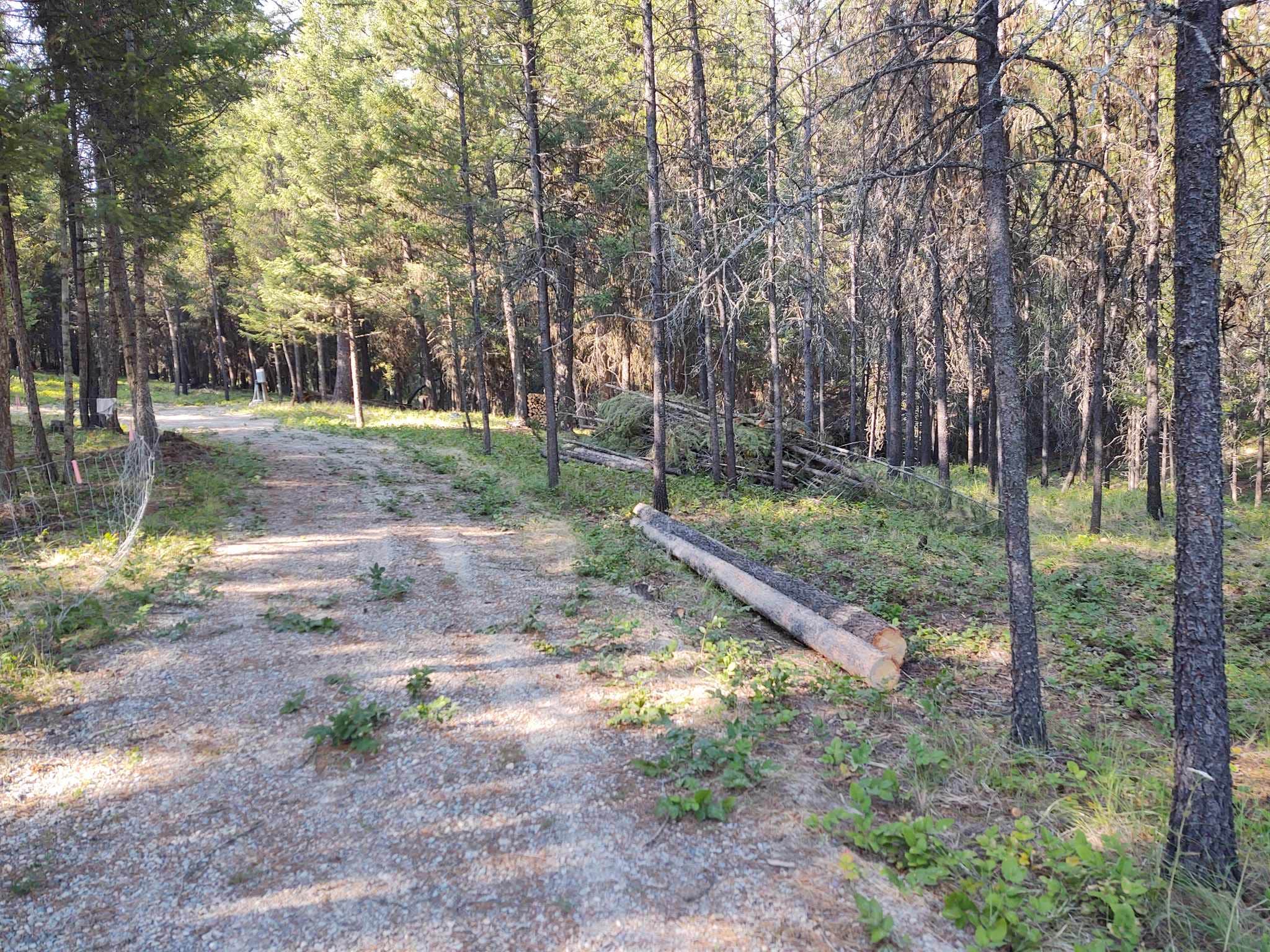 Heritage Cabin Property | Fortine, Montana