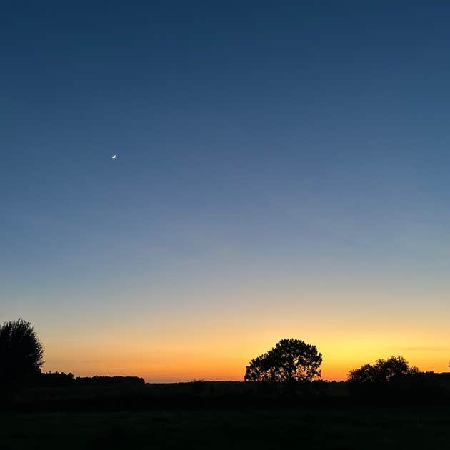 Find Out Farms Camping | The Dyrt