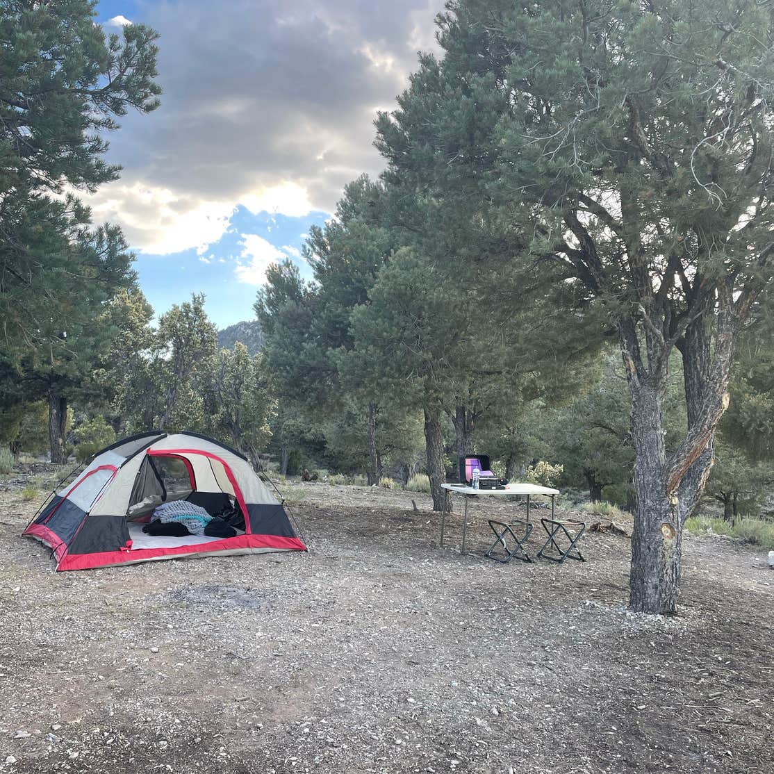 Blue Tree Group Camp | Mount Charleston, Nevada