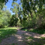 Box Elder Campground | Mantua, Utah