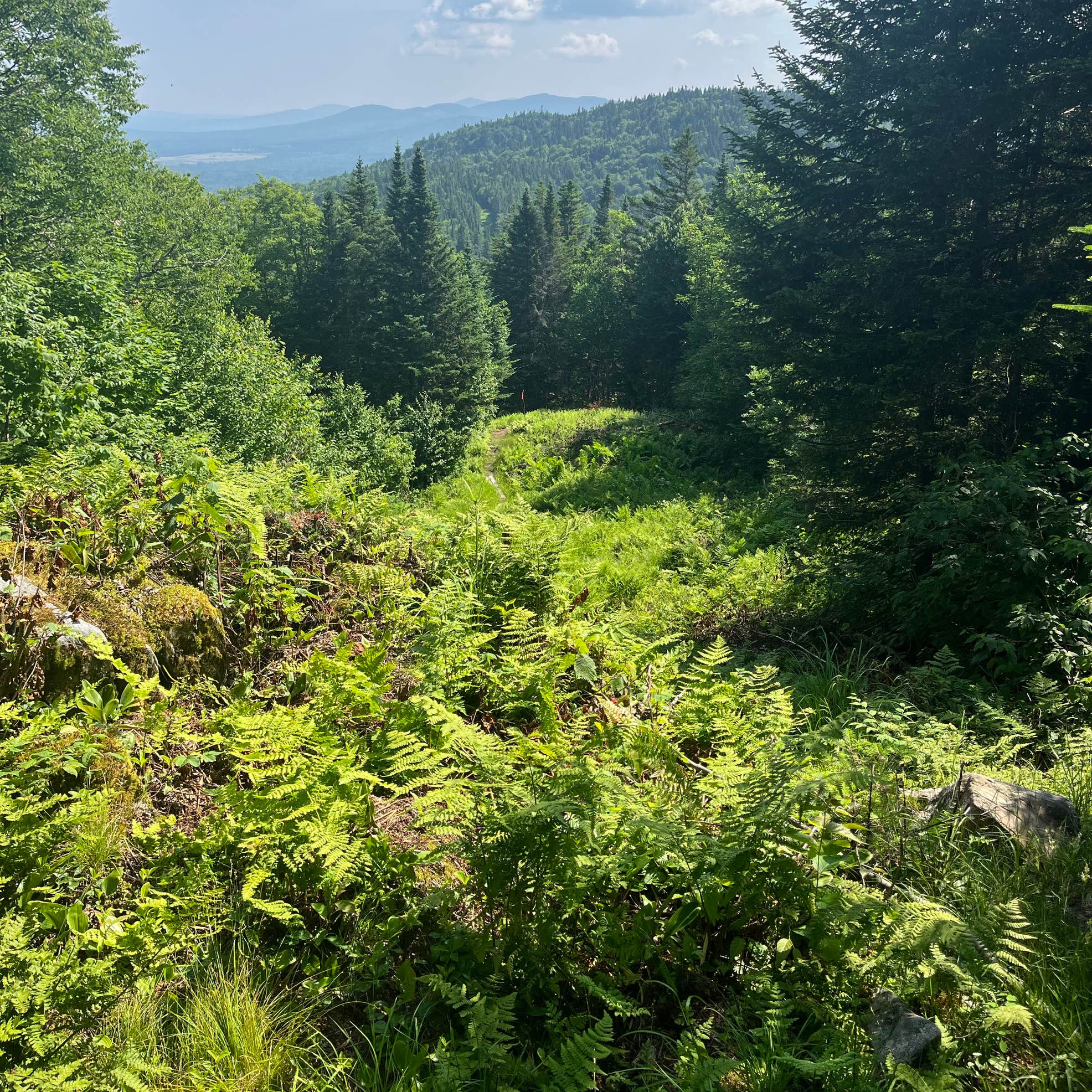 Deer Mountain Campground | Pittsburg, NH