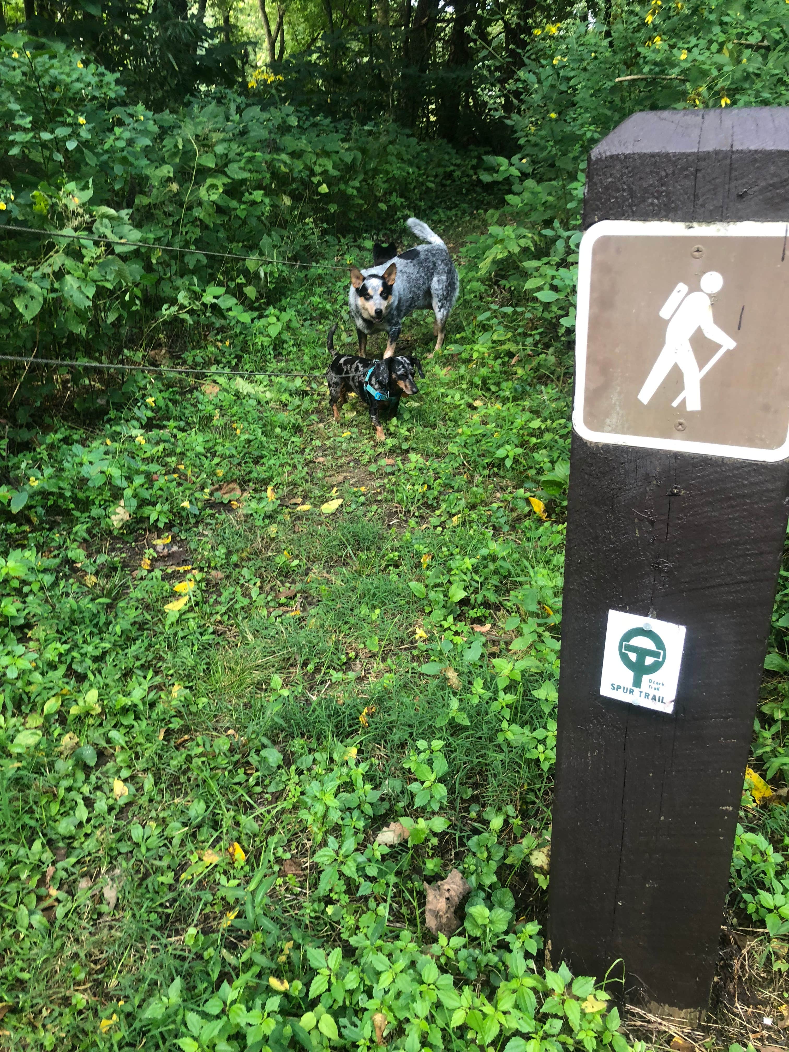 Big Spring Campground — Ozark National Scenic Riverway | Van Buren ...