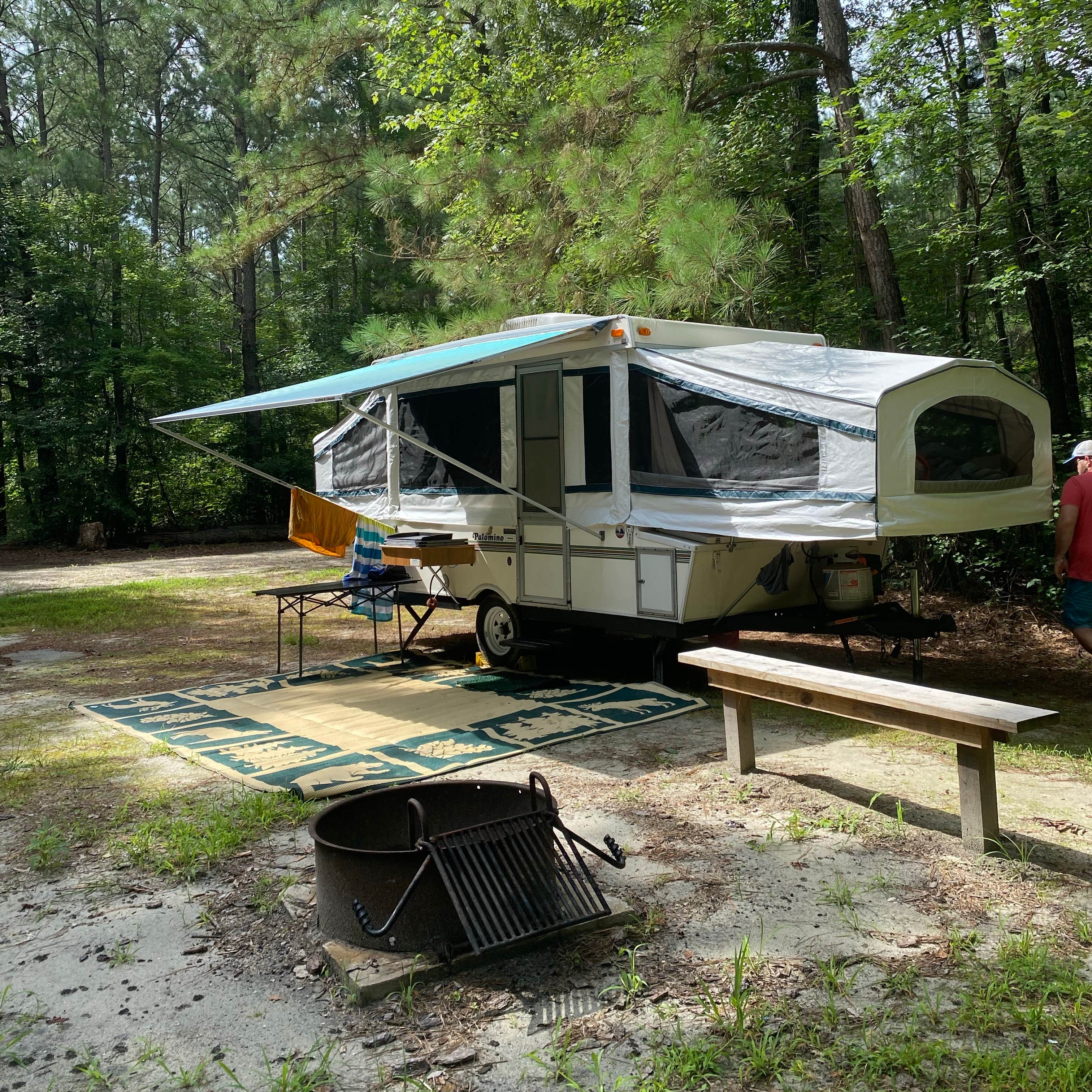 Redden State Forest Campground | Georgetown, Delaware