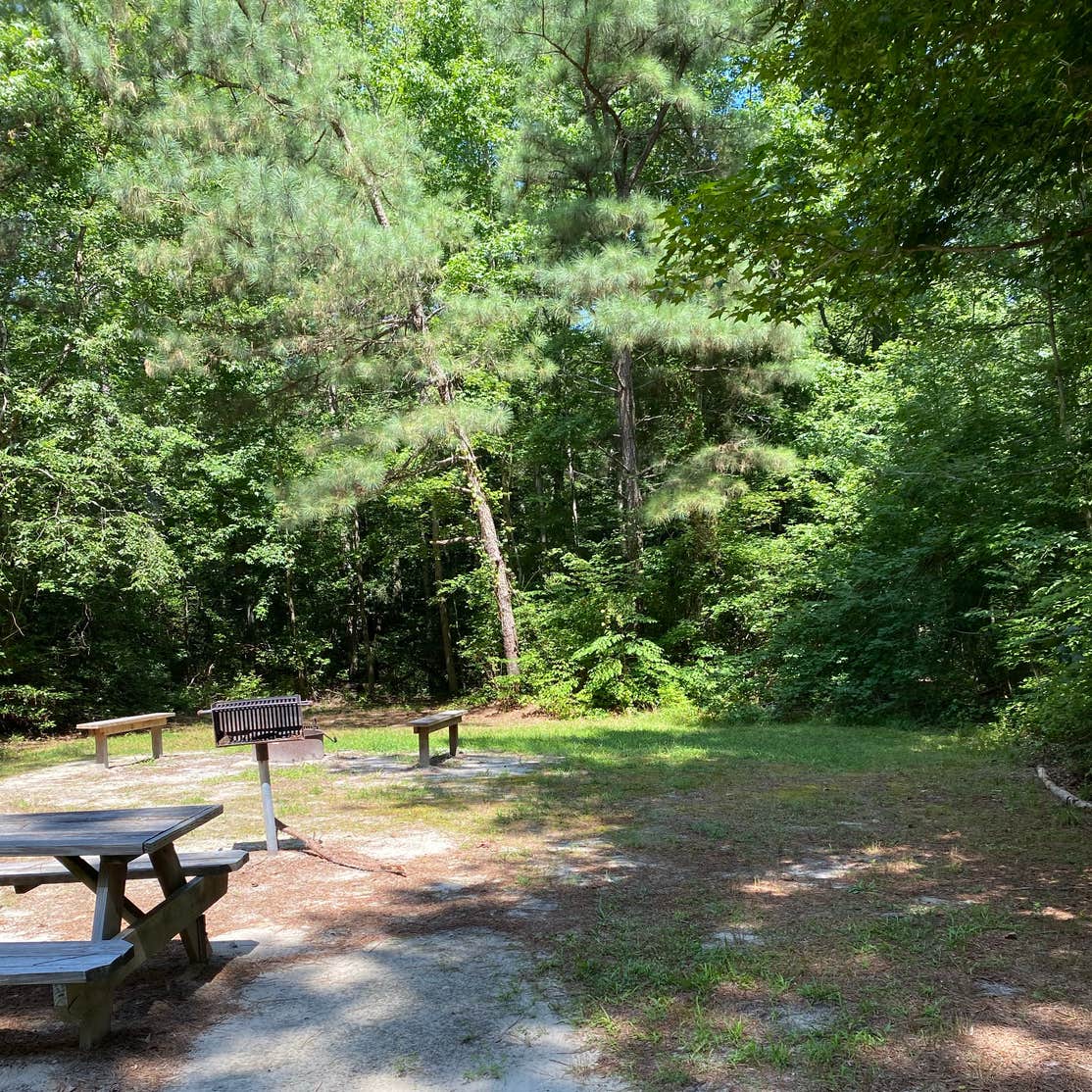 Redden State Forest Campground | Georgetown, Delaware