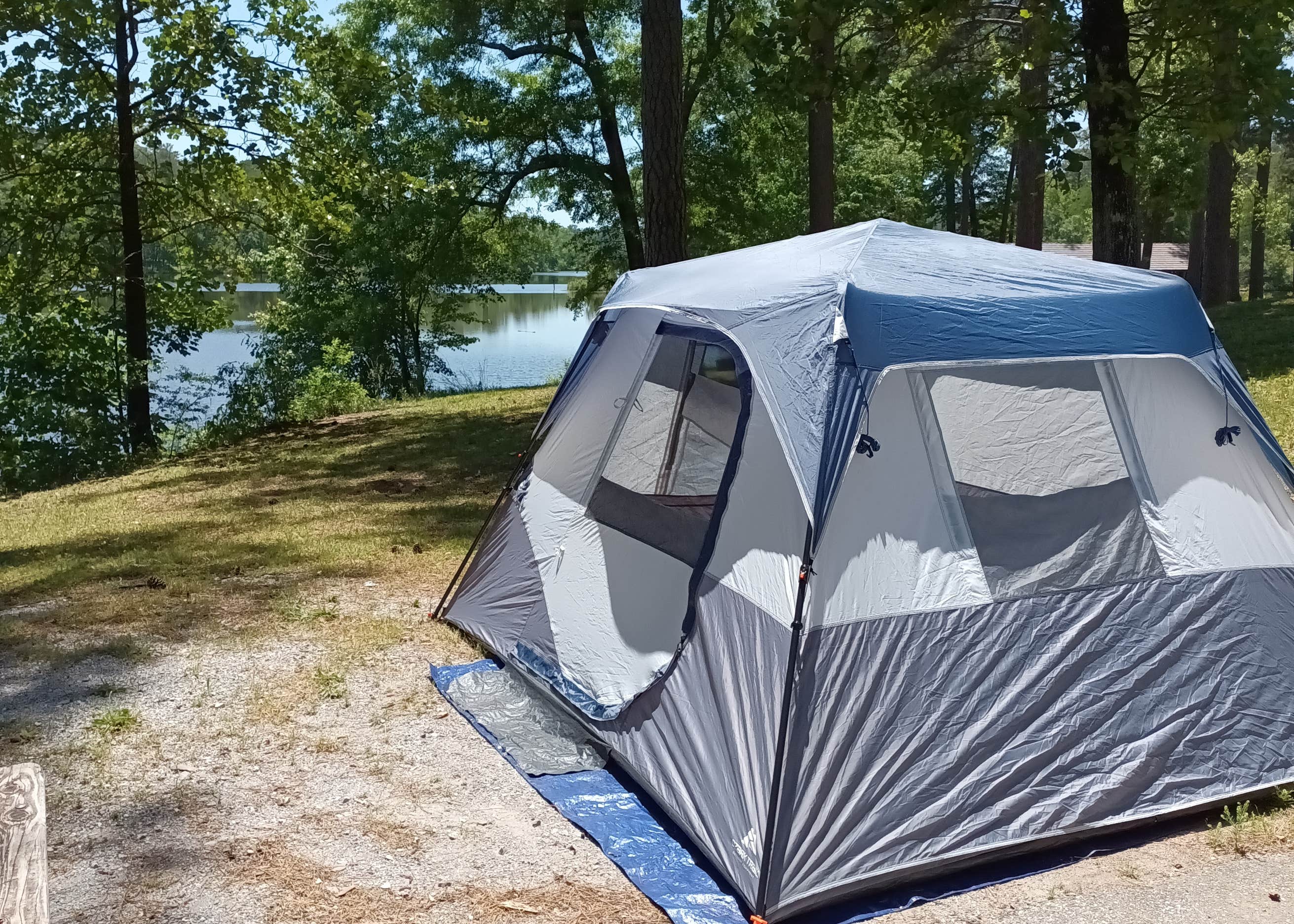 Payne Lake West Side Camping | The Dyrt