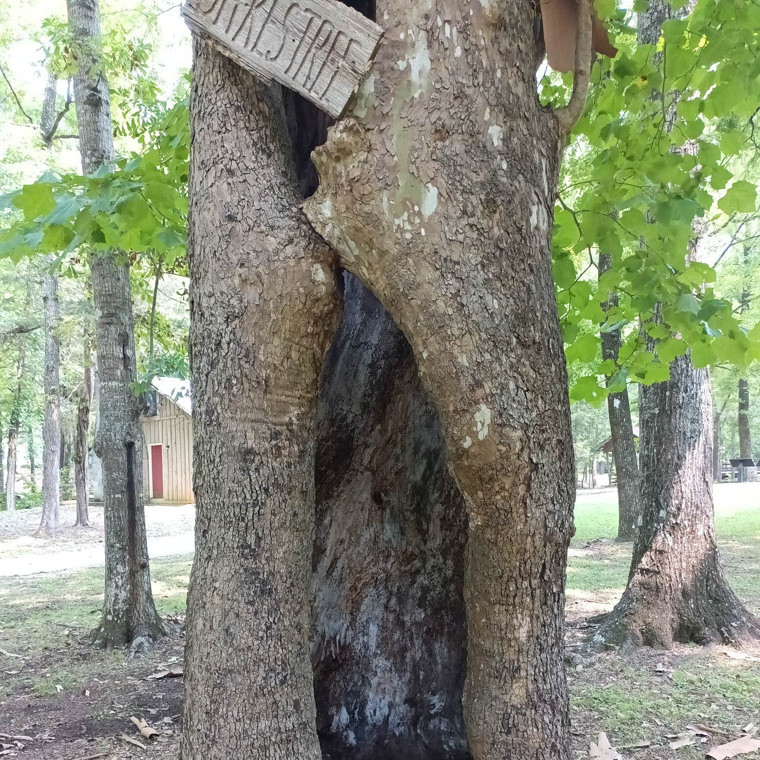 Brierfield Ironworks Historical Park Camping | Brierfield, AL