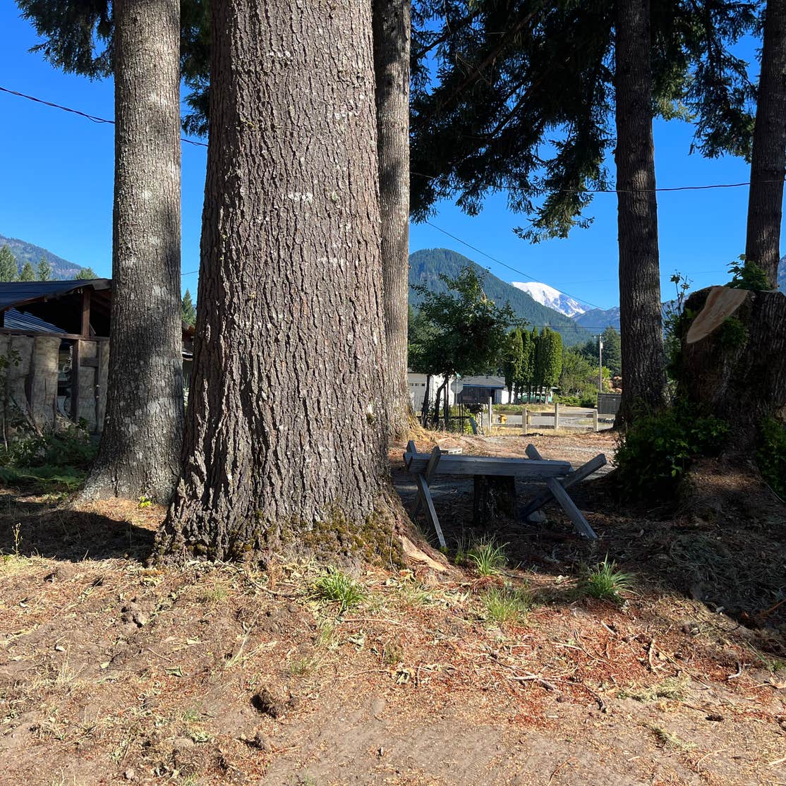Packwood RV Park & Campground | Packwood, Washington