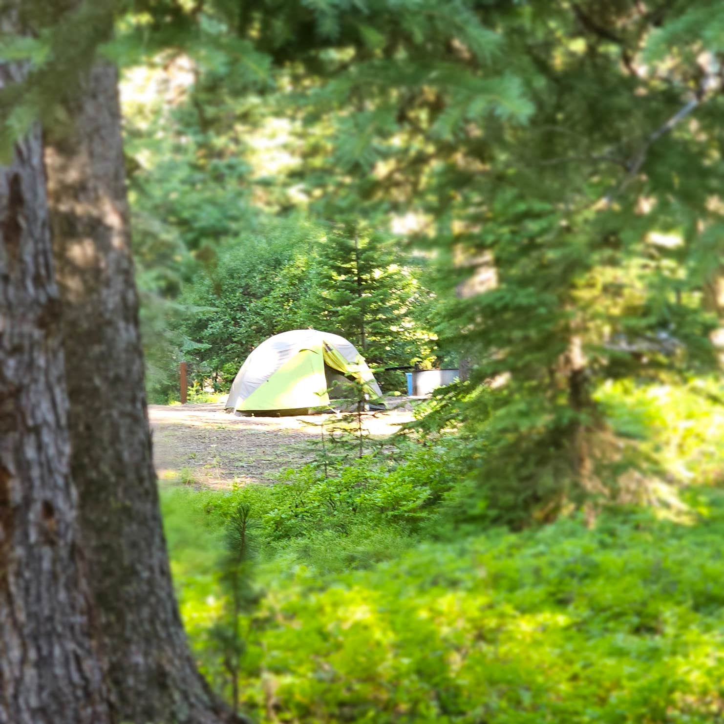Strawberry Campground Camping | Prairie City, OR | The Dyrt