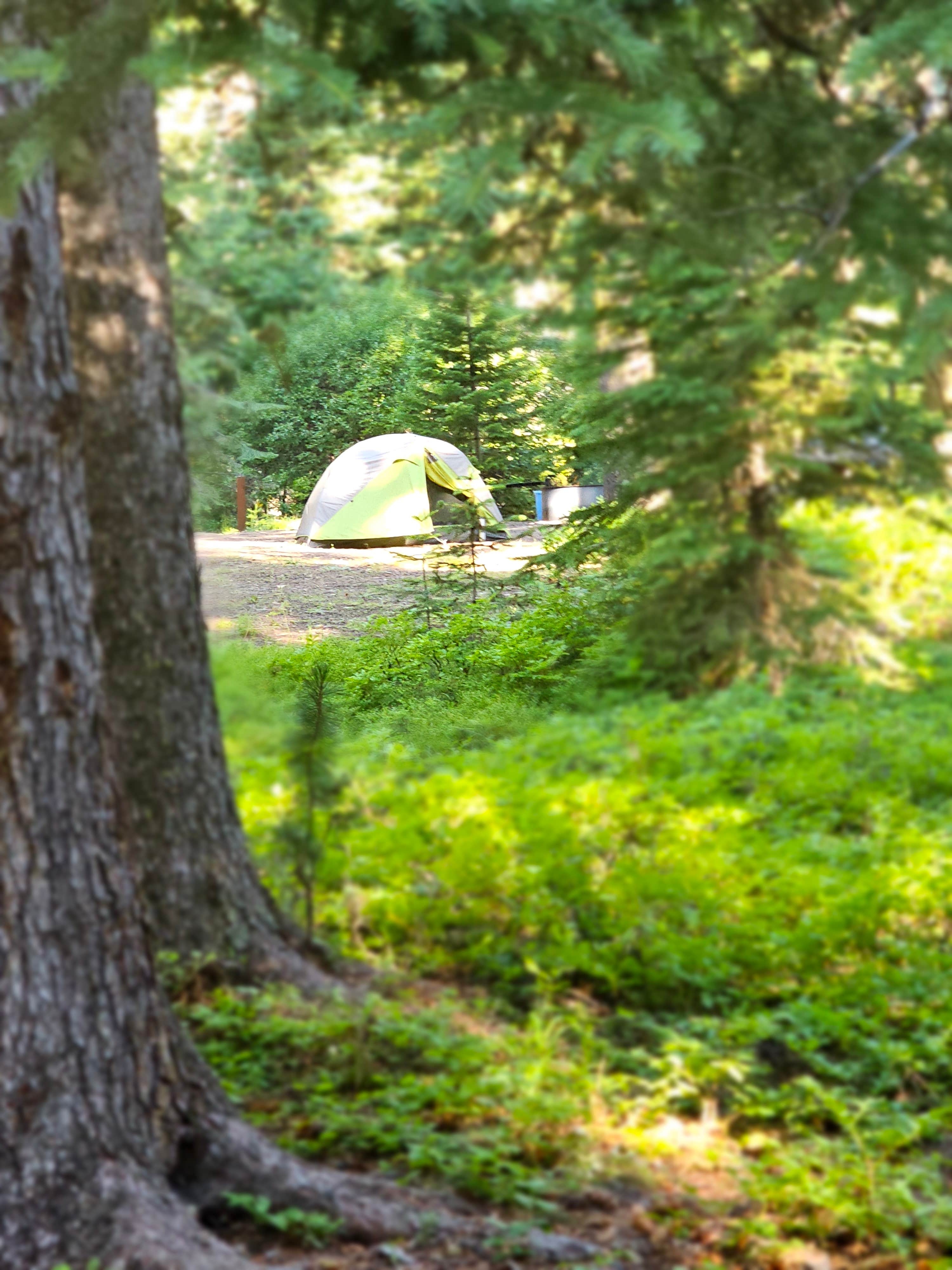 Strawberry Campground | Prairie City, OR