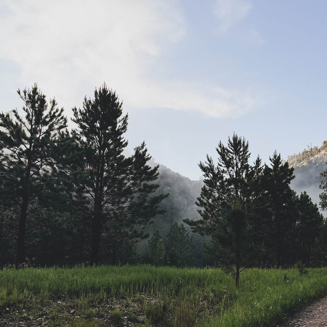 Blue Bell Campground — Custer State Park | Custer, SD