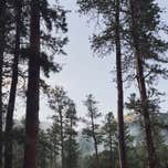 Blue Bell Campground — Custer State Park | Custer, SD