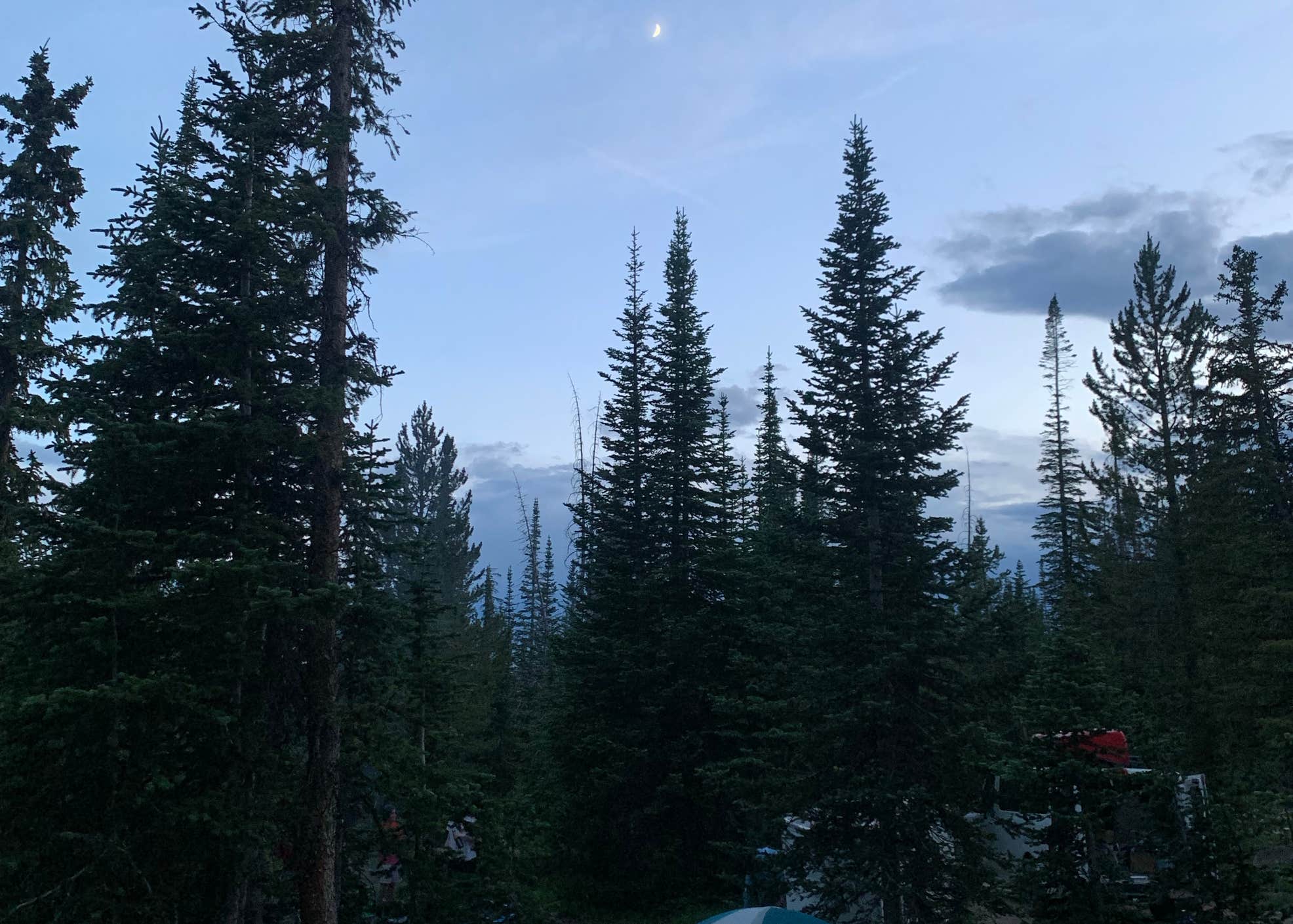 Uinta-Wasatch-Cache National Forest Dispersed Camping Camping | The Dyrt