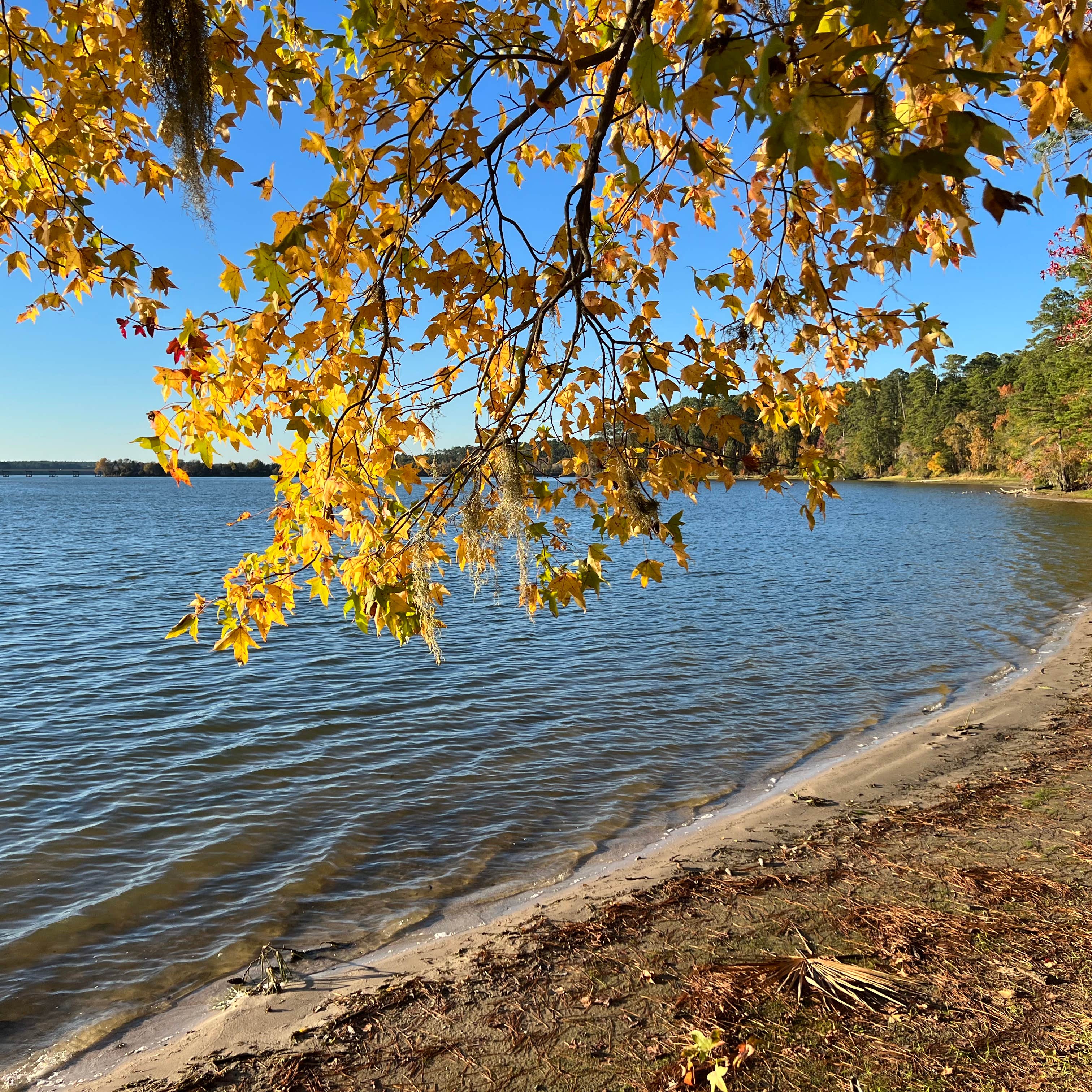 Cagle Recreation Area Camping | New Waverly, Texas