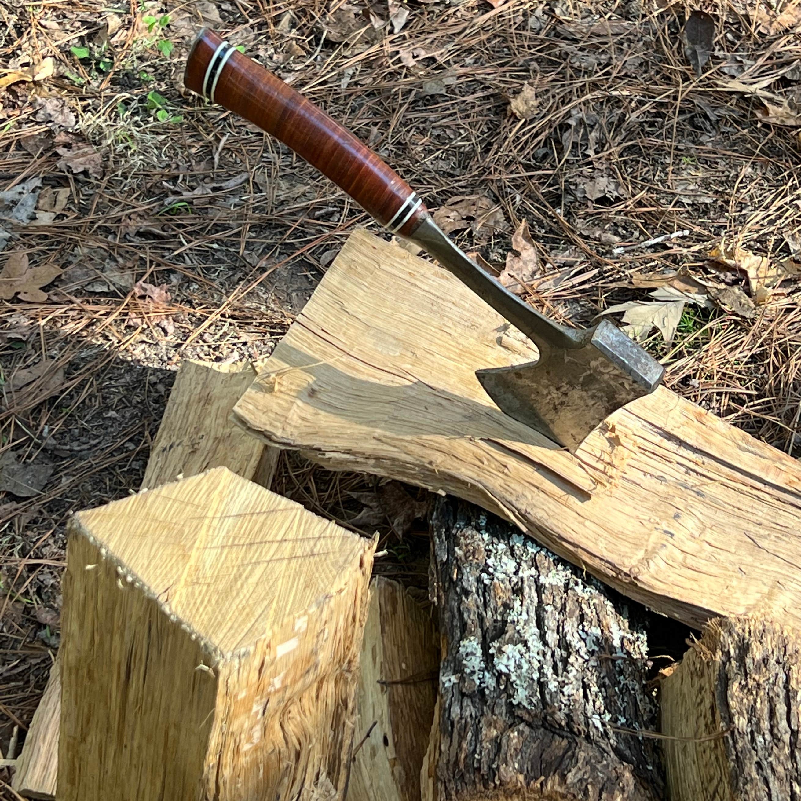 Cagle Recreation Area Camping | New Waverly, Texas