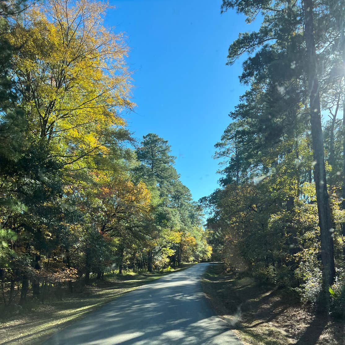 Cagle Recreation Area Camping | New waverly, TX