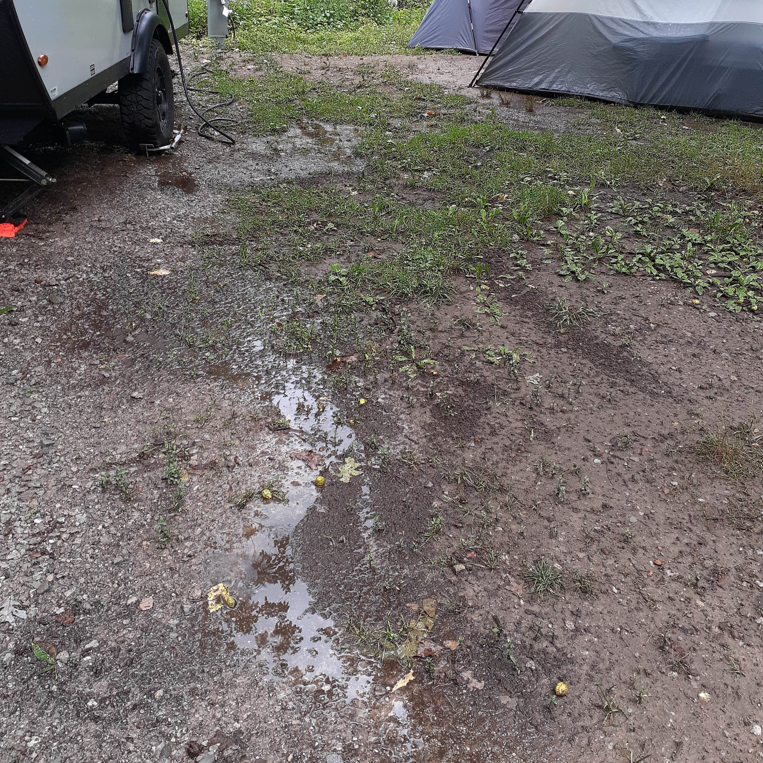 Pokagon State Park Campground | Angola, Indiana