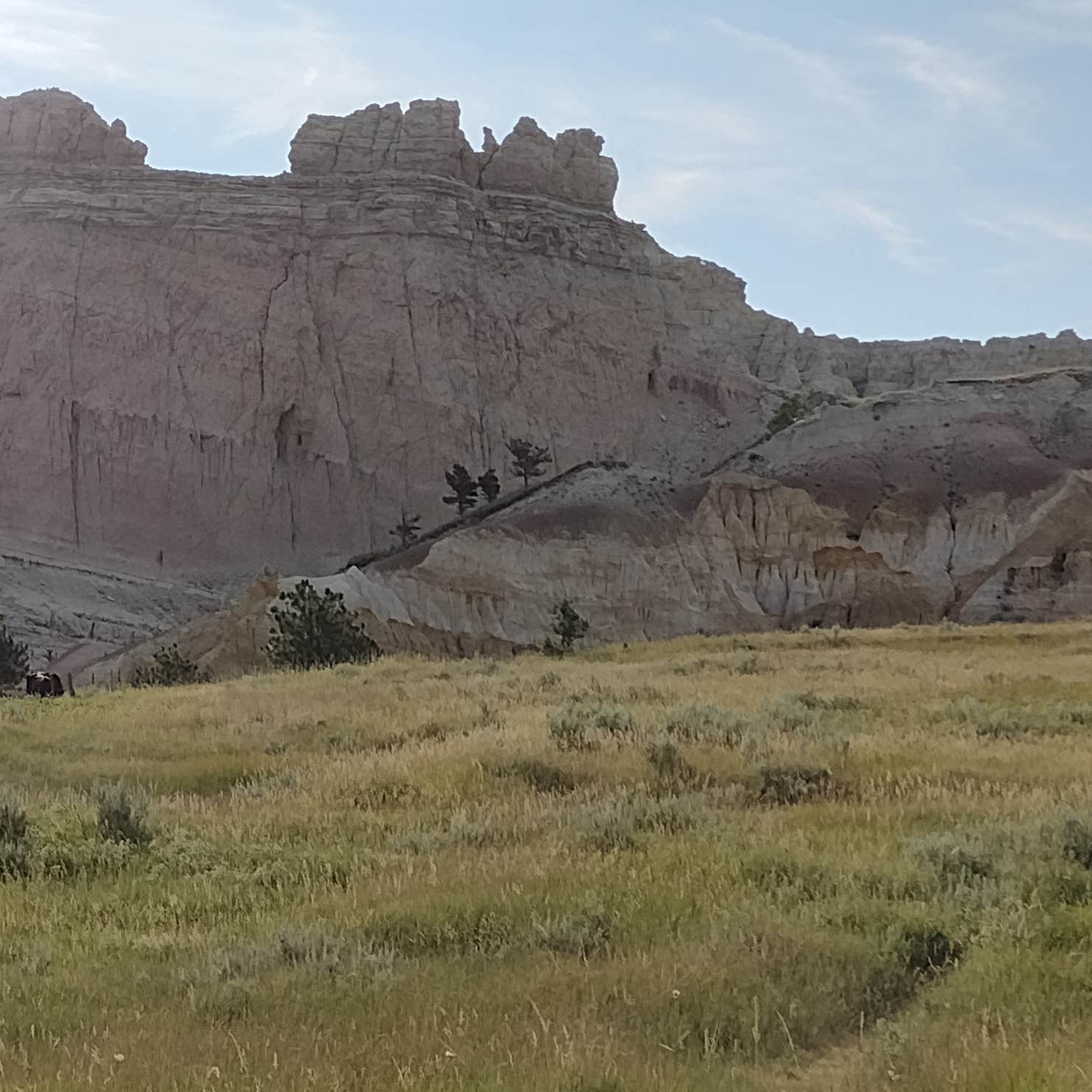 Reva Gap Campground | Reva, South Dakota