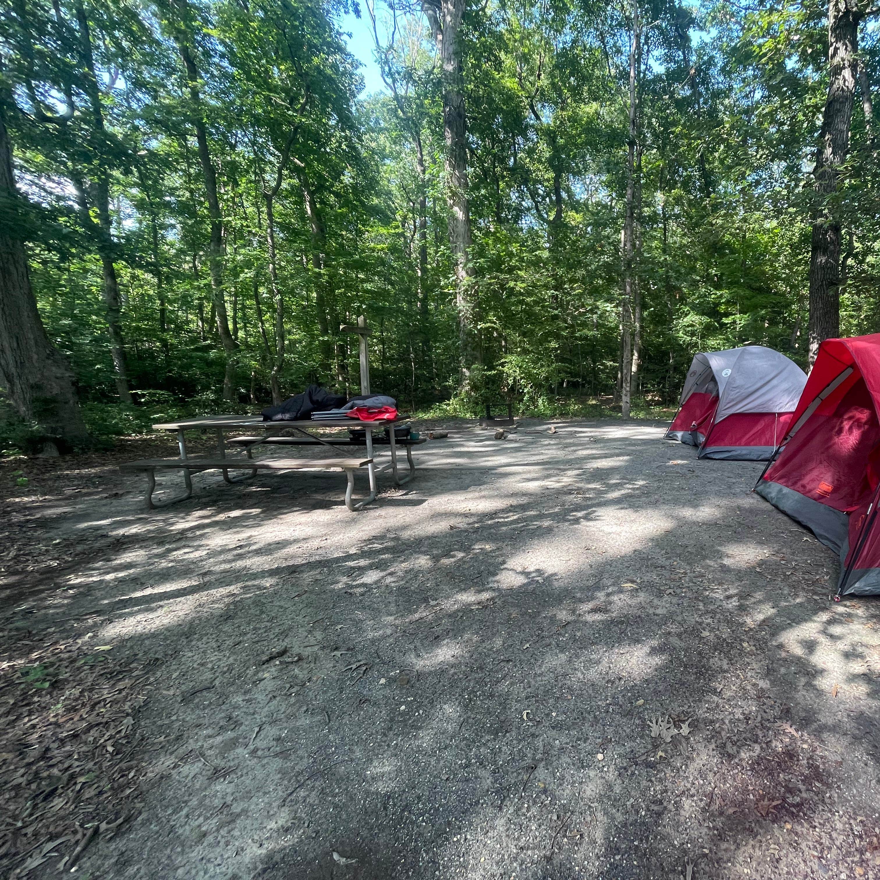 Martinak State Park Campground | Denton, Maryland