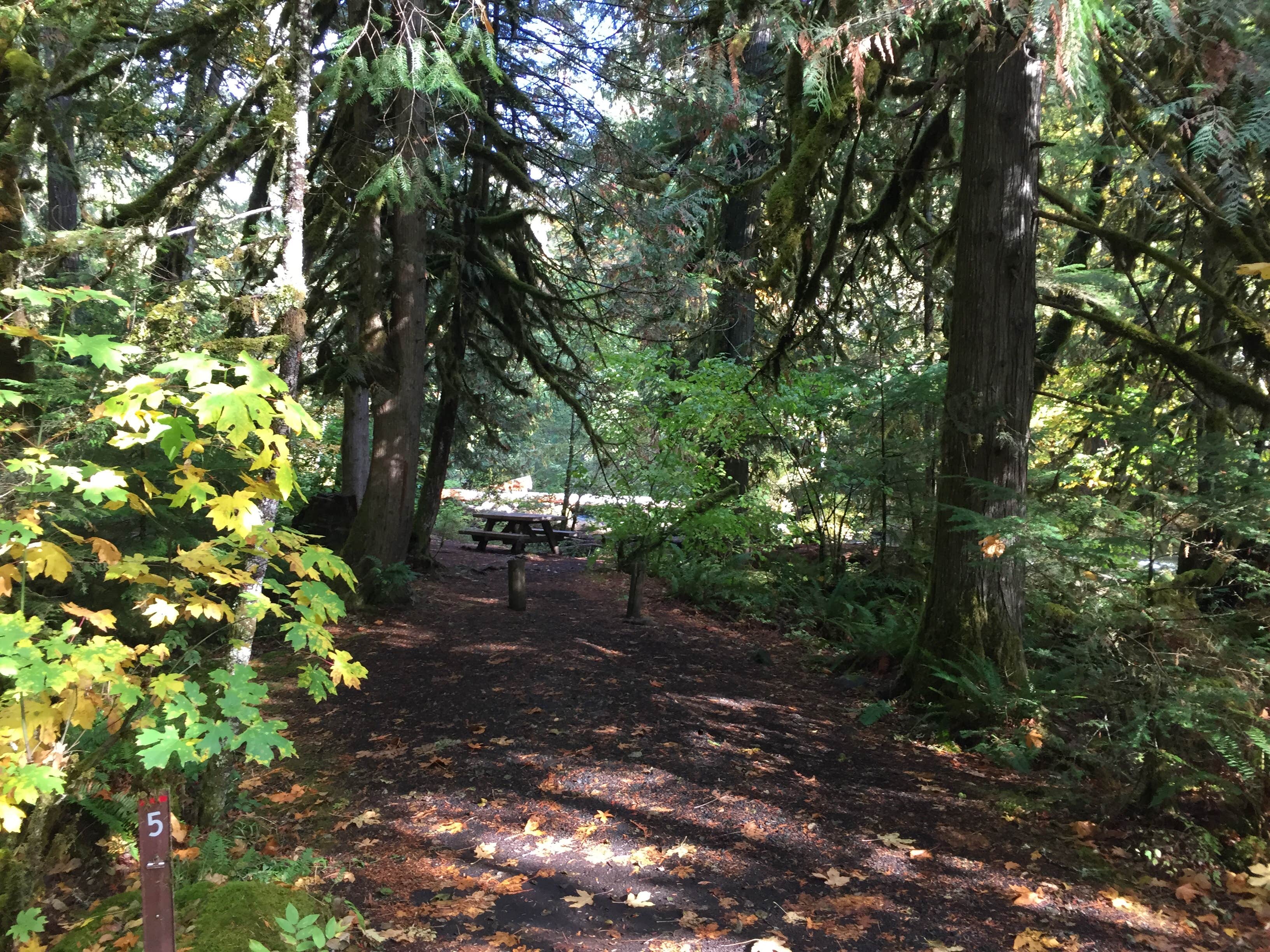 Ripplebrook | The Dyrt