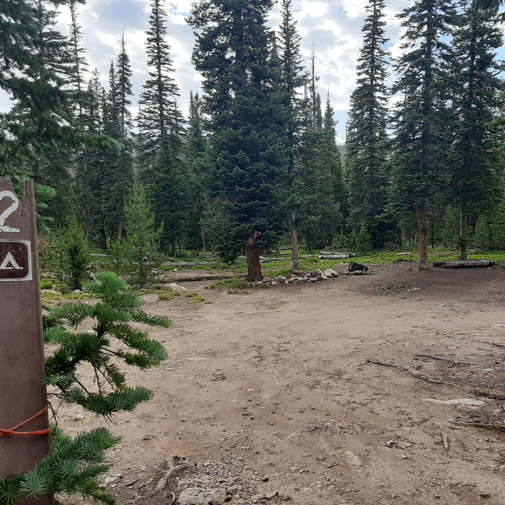 Long Draw Road Campsites | Rand, Colorado