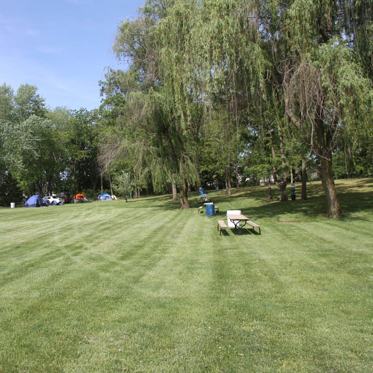 Lost Pines Resort and Campground Camping | The Dyrt