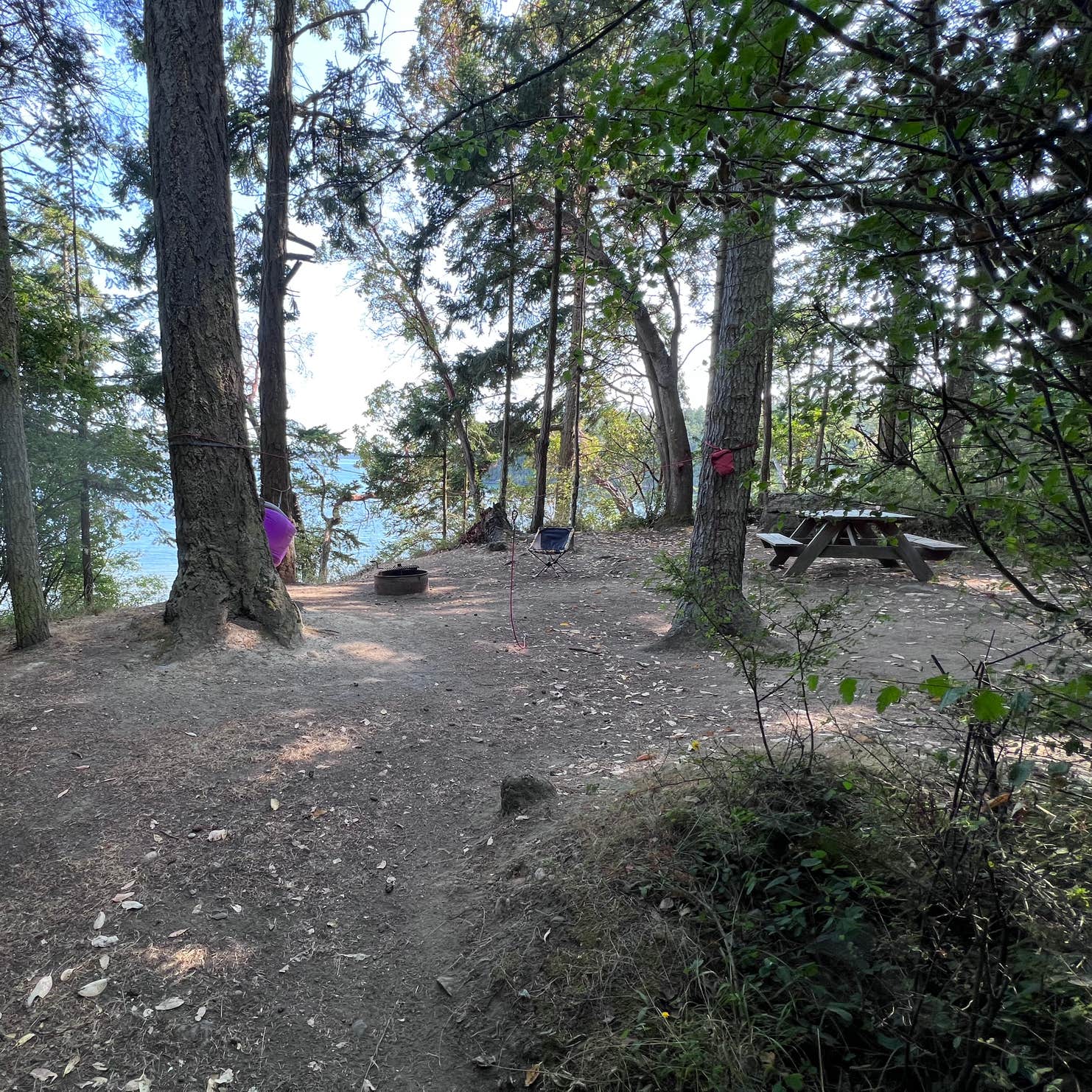 Shaw Island County Park Camping – TOMP