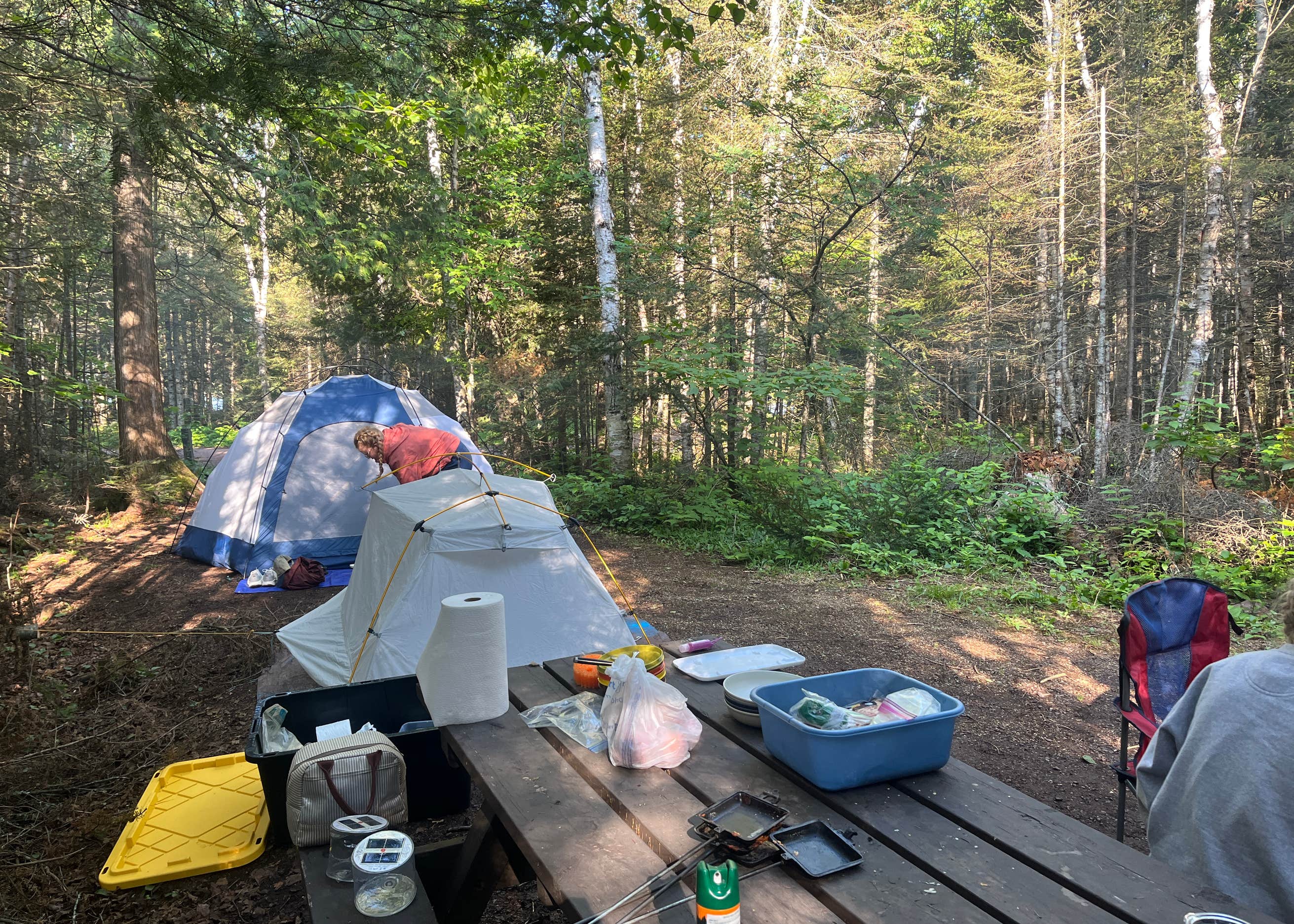 Ninemile Lake Campground Camping | The Dyrt