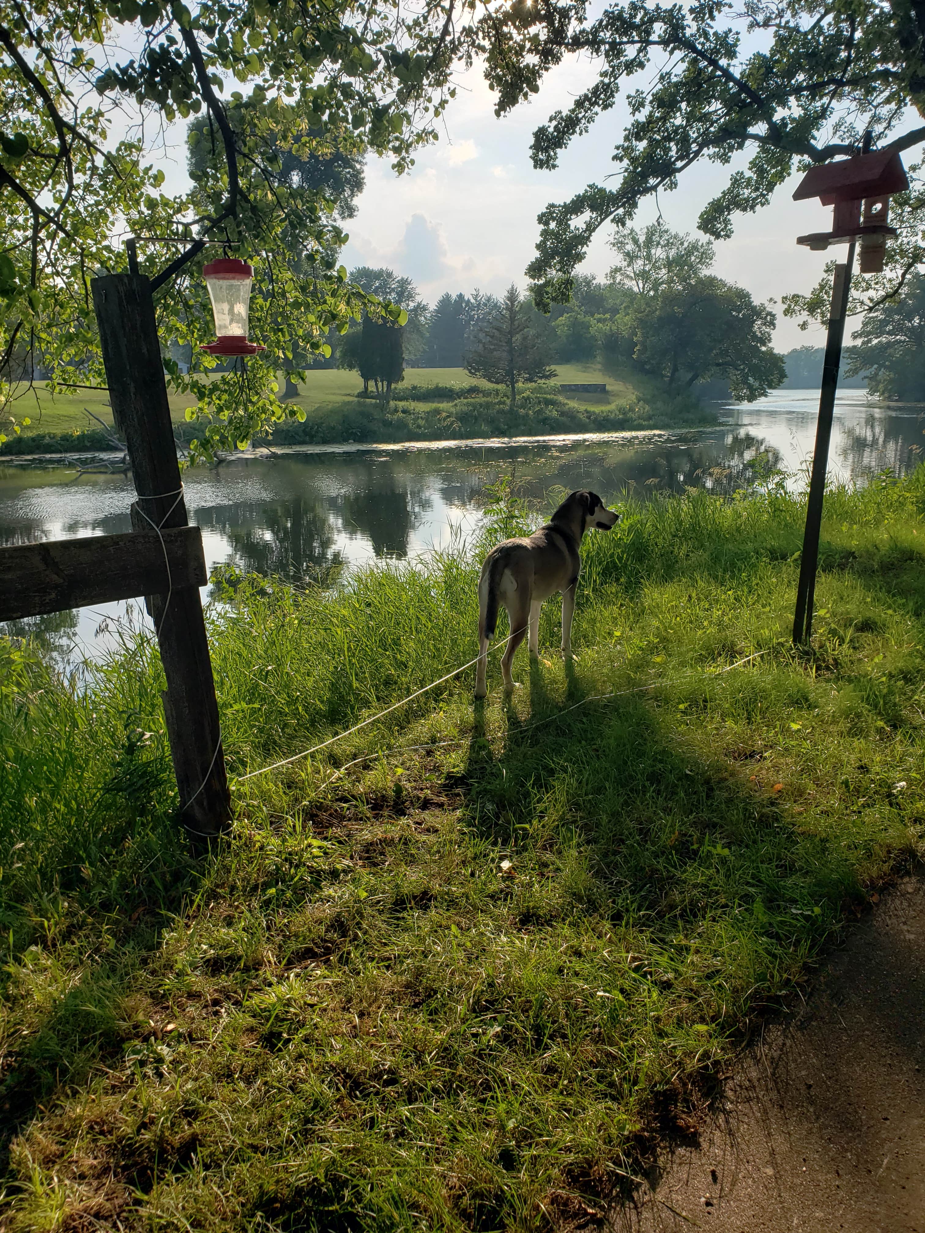 Ham Lake Resort Camping | Andover, Minnesota