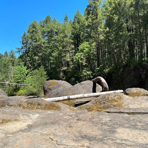 Sharps Creek Camping | Dorena, OR