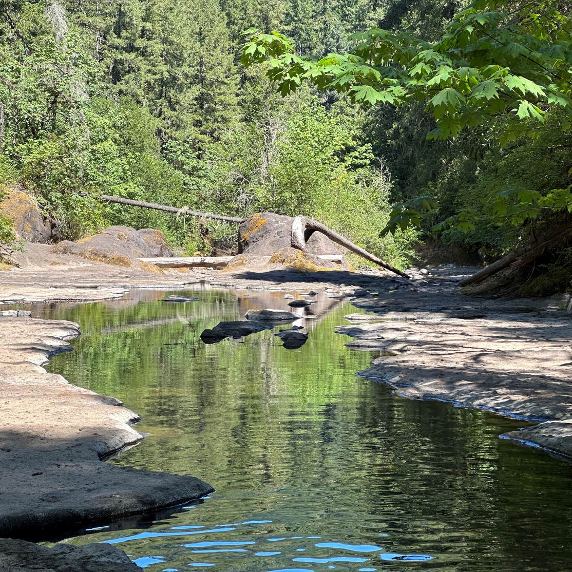 Sharps Creek Camping | Dorena, OR