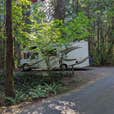 Blue Pool — Willamette National Forest Camping | Oakridge, Oregon