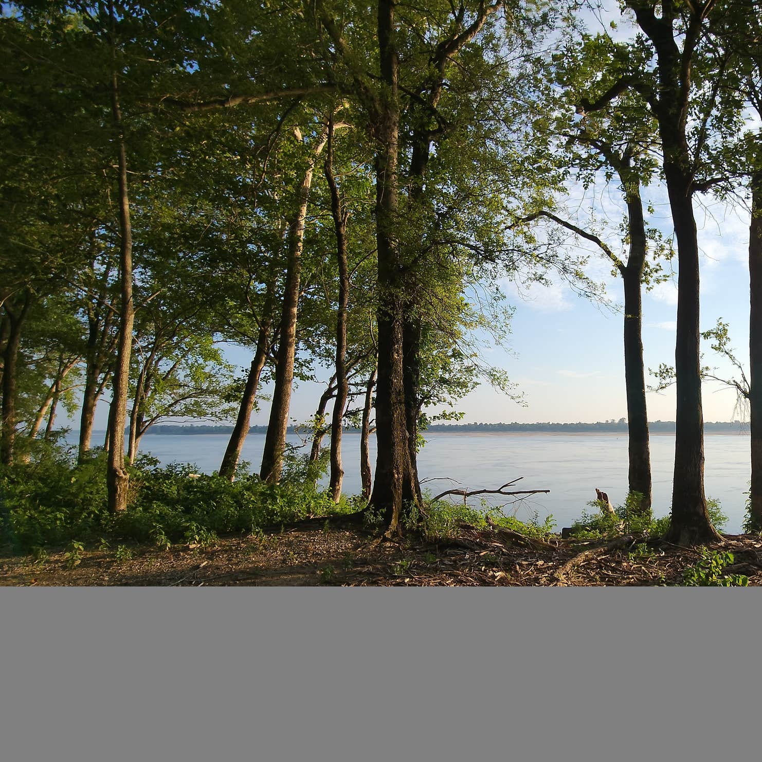 Riverview MDC Donaldson Point Camping | New Madrid, Missouri