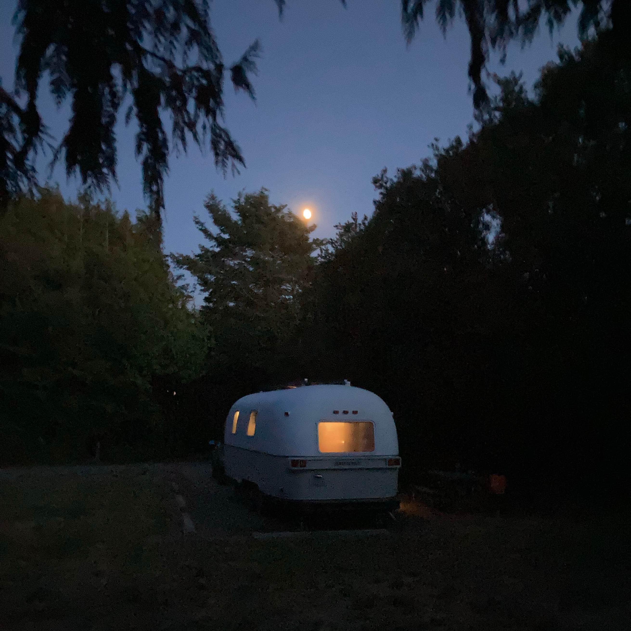 Dungeness Recreation Area Camping | Carlsborg, Washington
