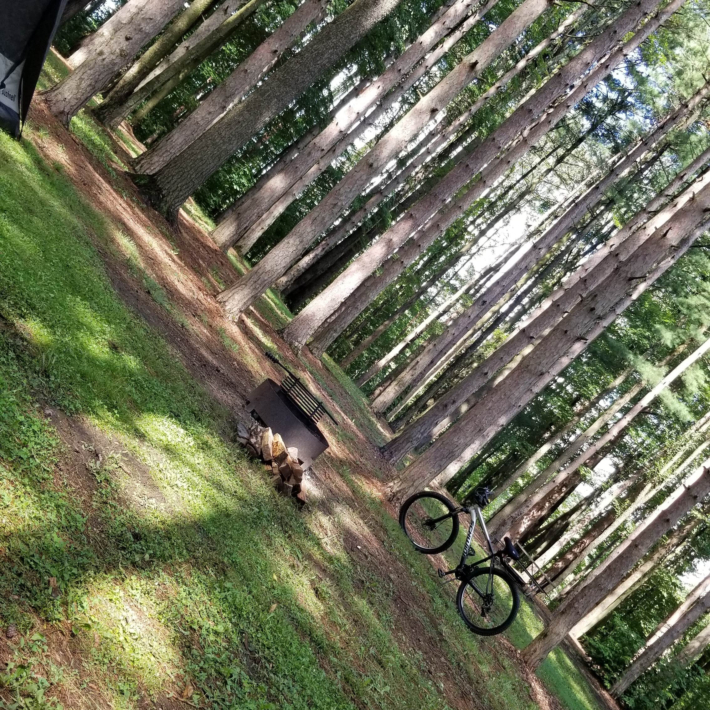 Beaver Creek State Park Campground | Negley, Ohio