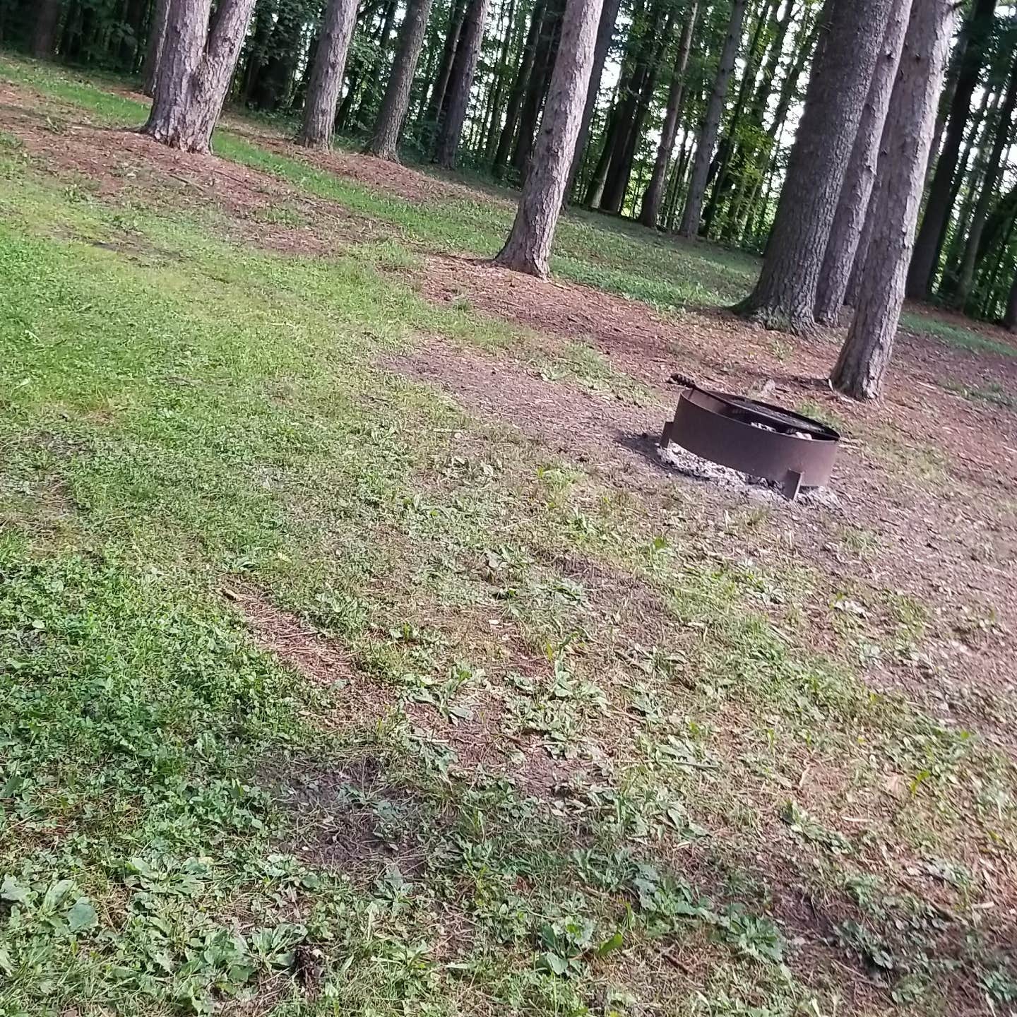 Beaver Creek State Park Campground | Negley, Ohio