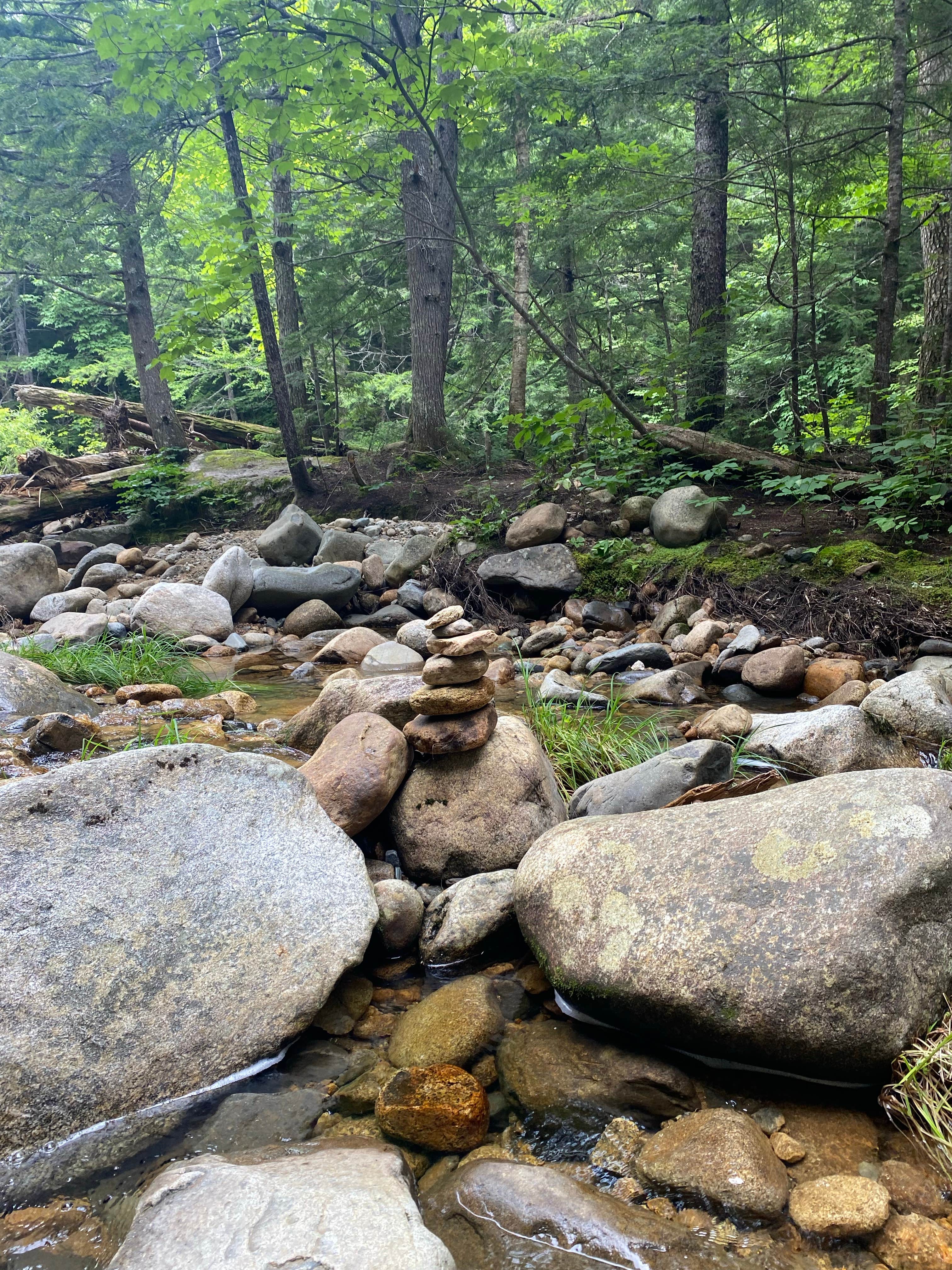 Town Hall Road Dispersed Camping | Chatham, NH