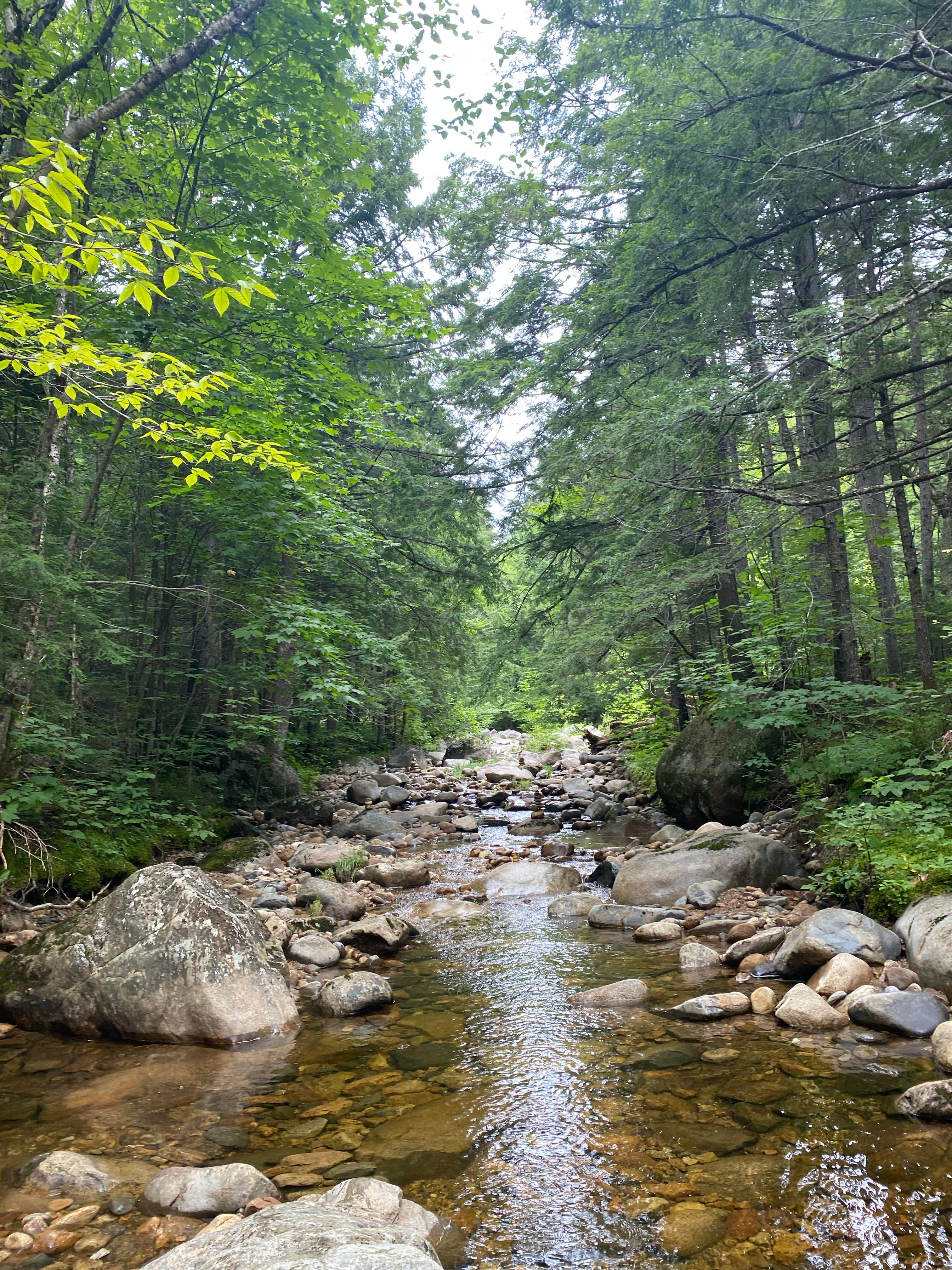 Town Hall Road Dispersed Camping | Chatham, NH