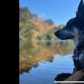 Cole Ranch Camping | Waterford, California