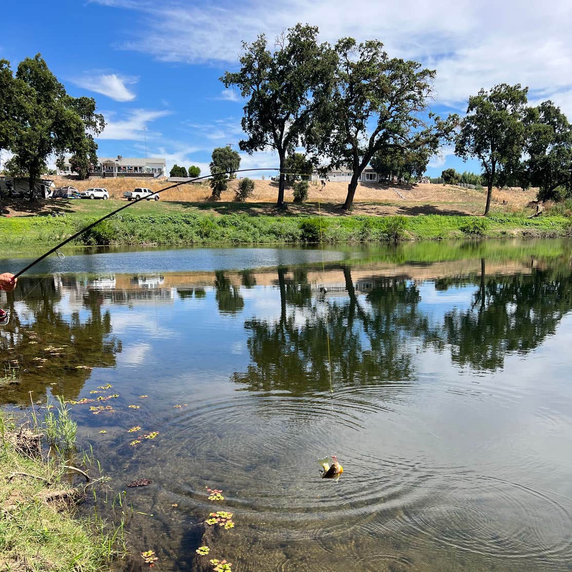 Cole Ranch Camping | Waterford, California