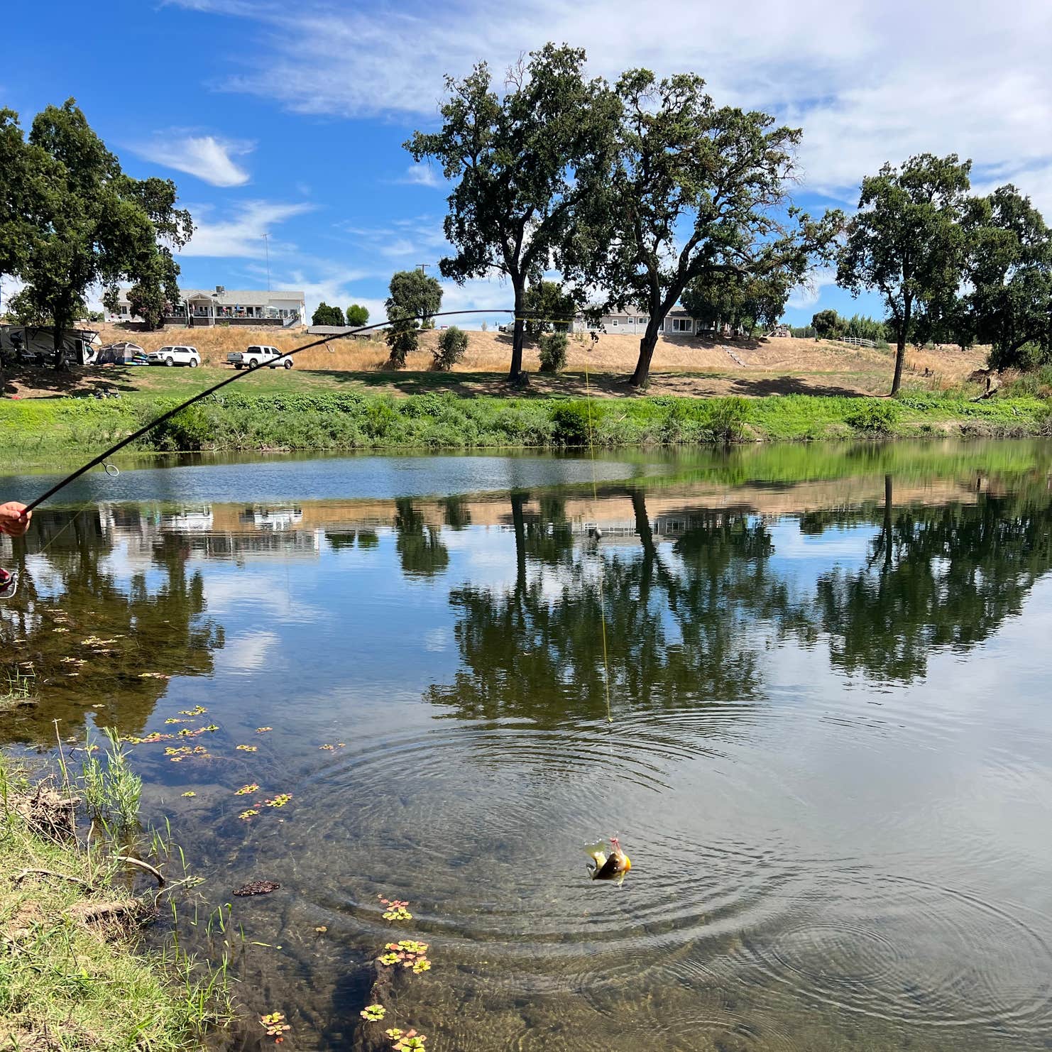 Cole Ranch Camping | Waterford, California