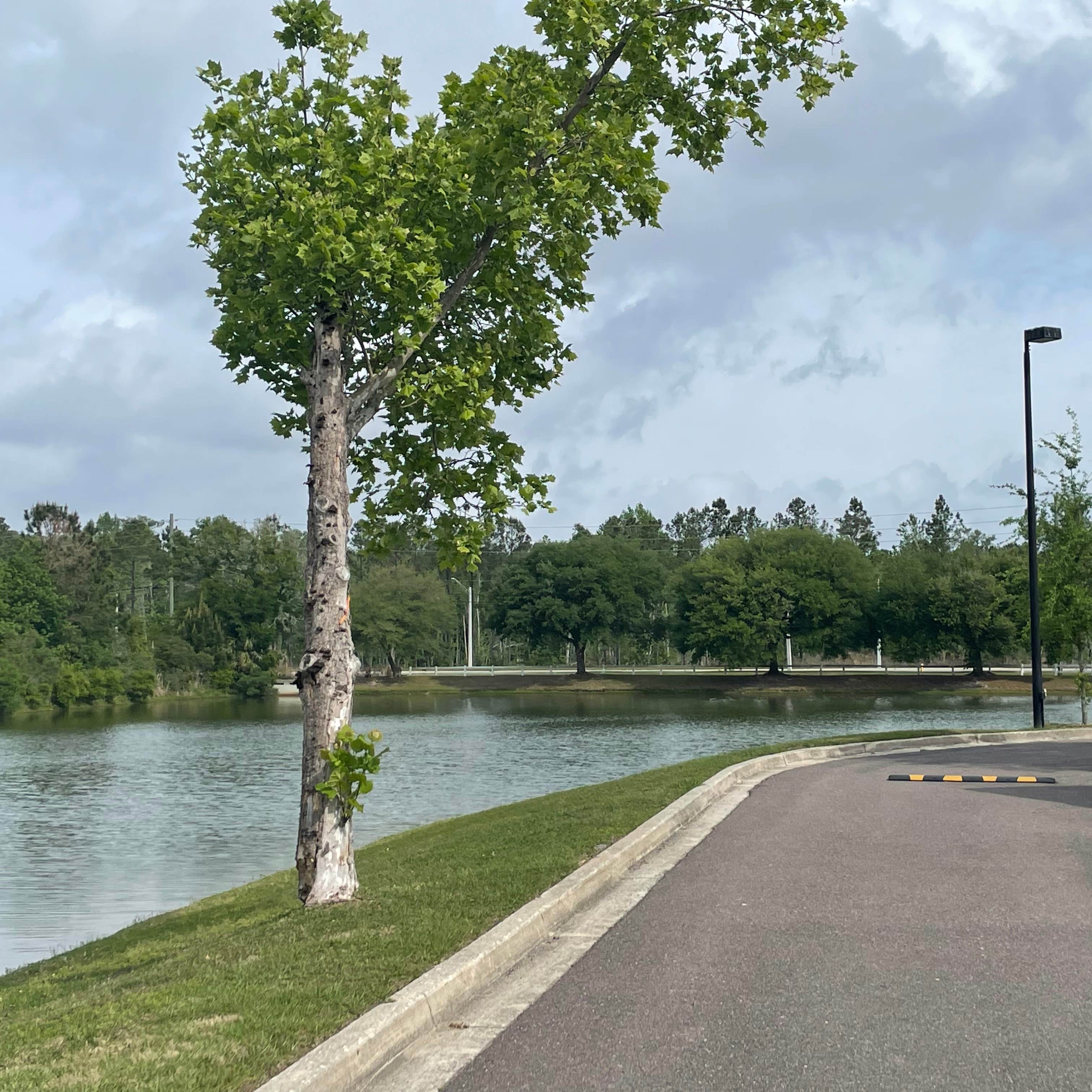 Pecan Park RV Resort | Callahan, Florida