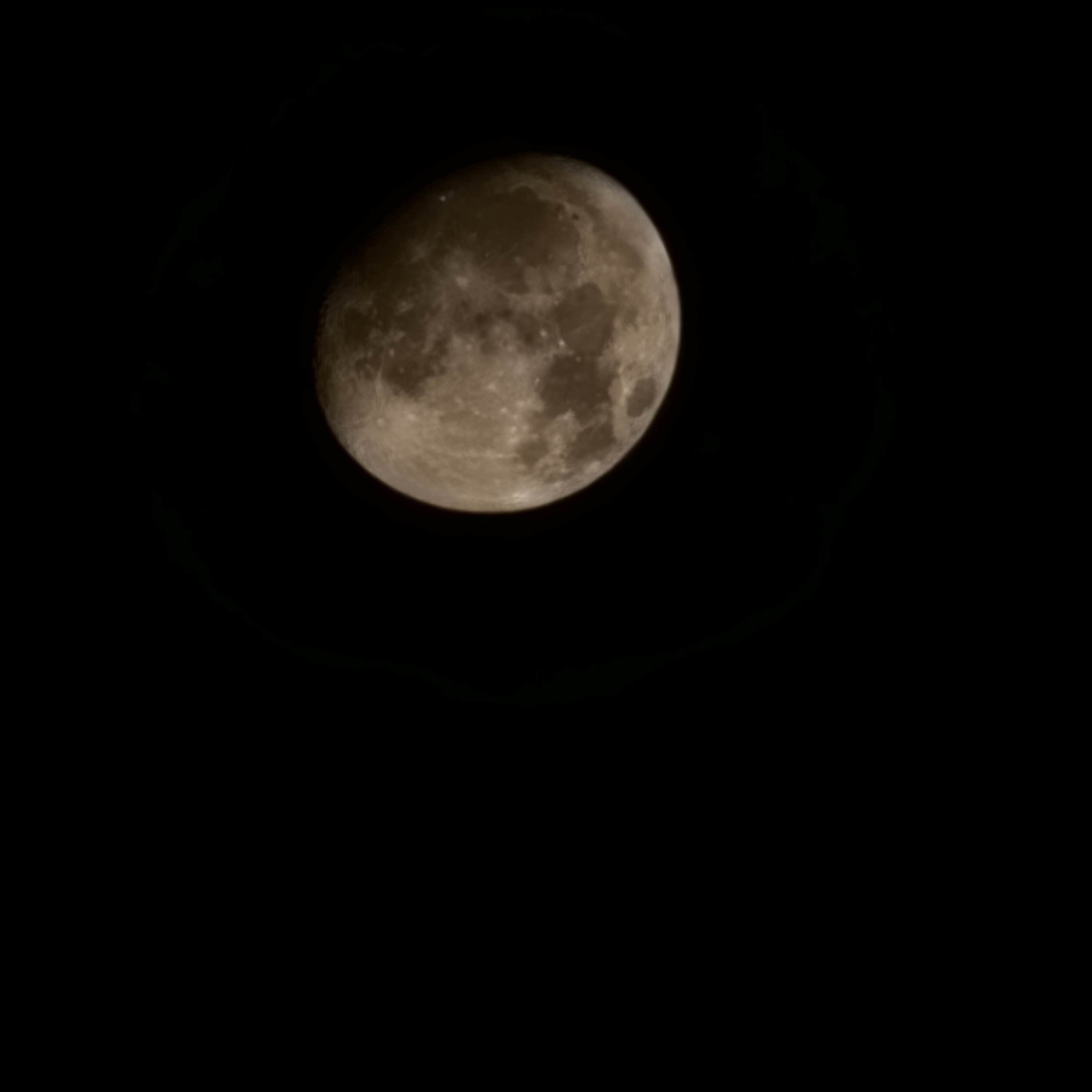 Bonelli Bluffs Camping | South El Monte, California